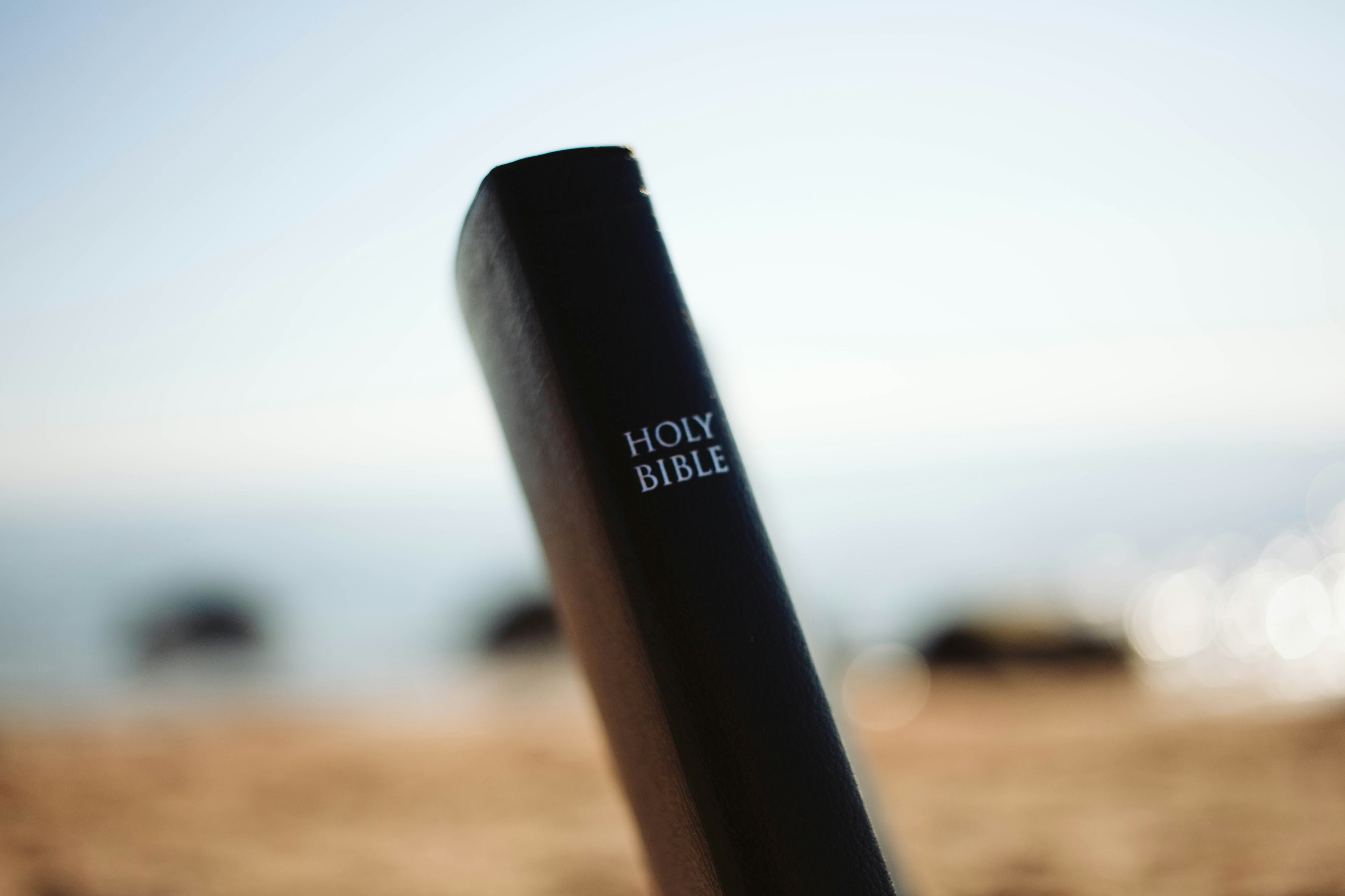 A close up of a black stick with the words holy bible on it photo ...