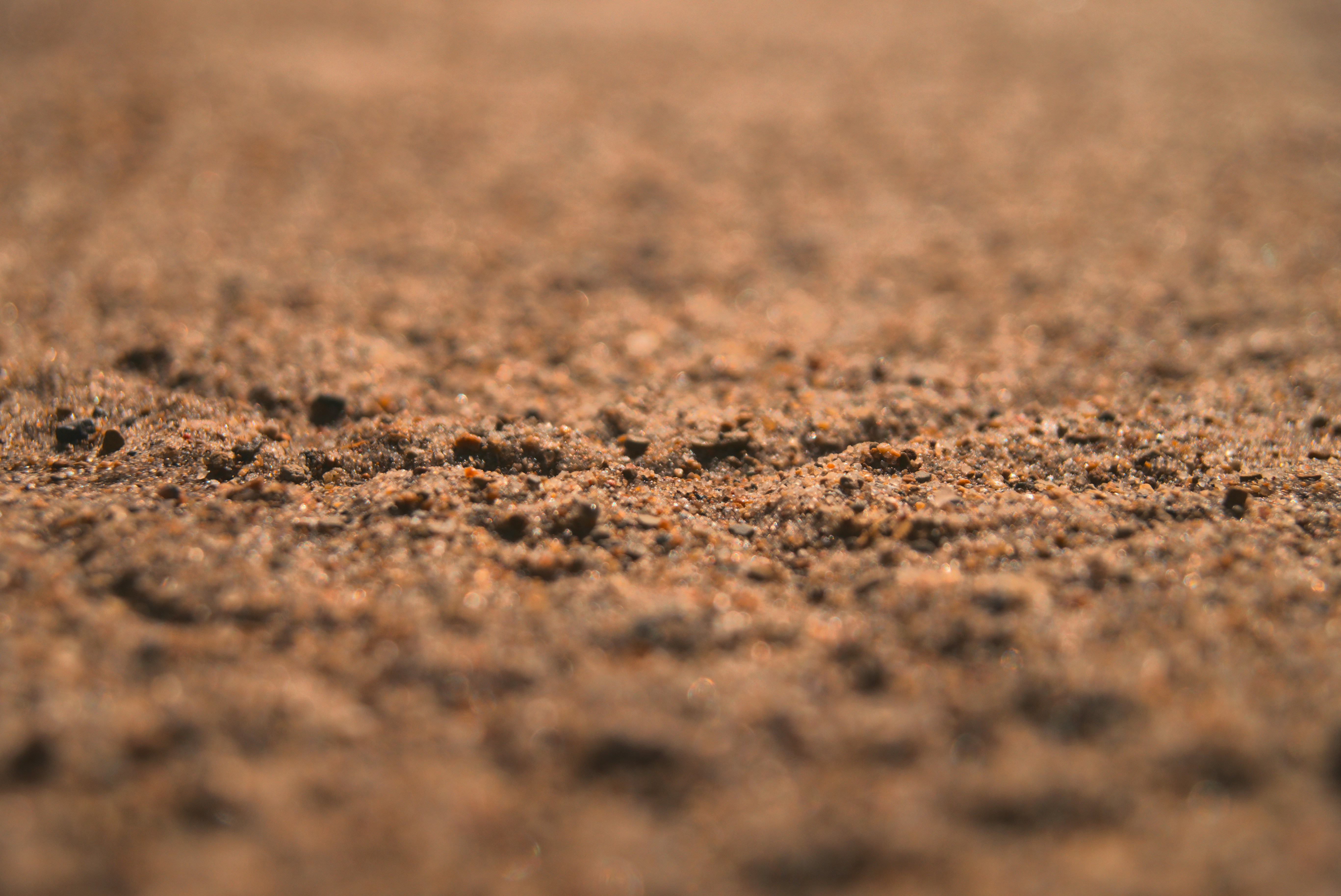 Close-up view of textured soil, highlighting the intricate details and natural patterns on the ground. The warm tones create a sense of earthy tranquility.