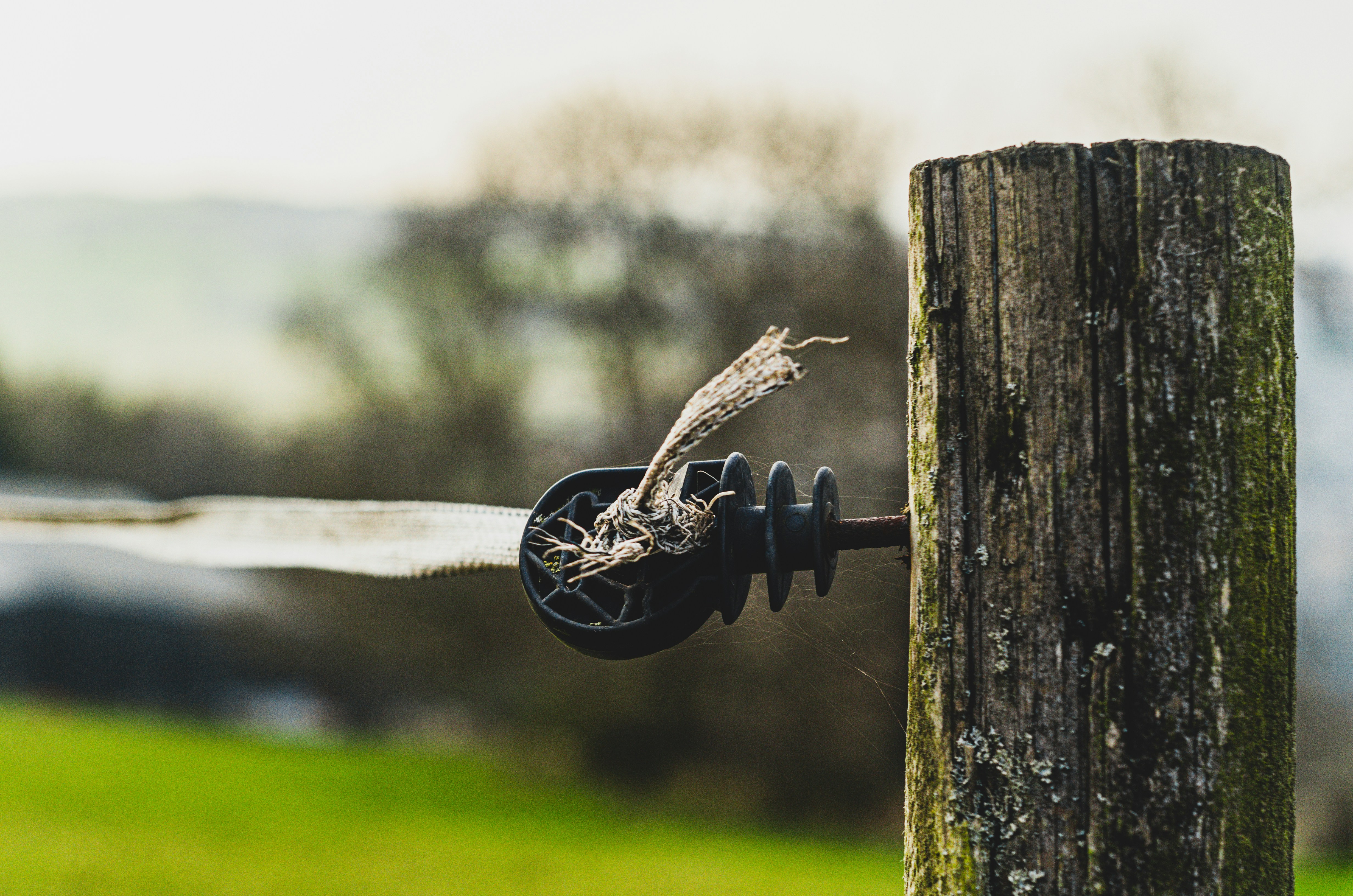 Foto Un poste de madera con una cuerda atada a él – Imagen Sheffield ...