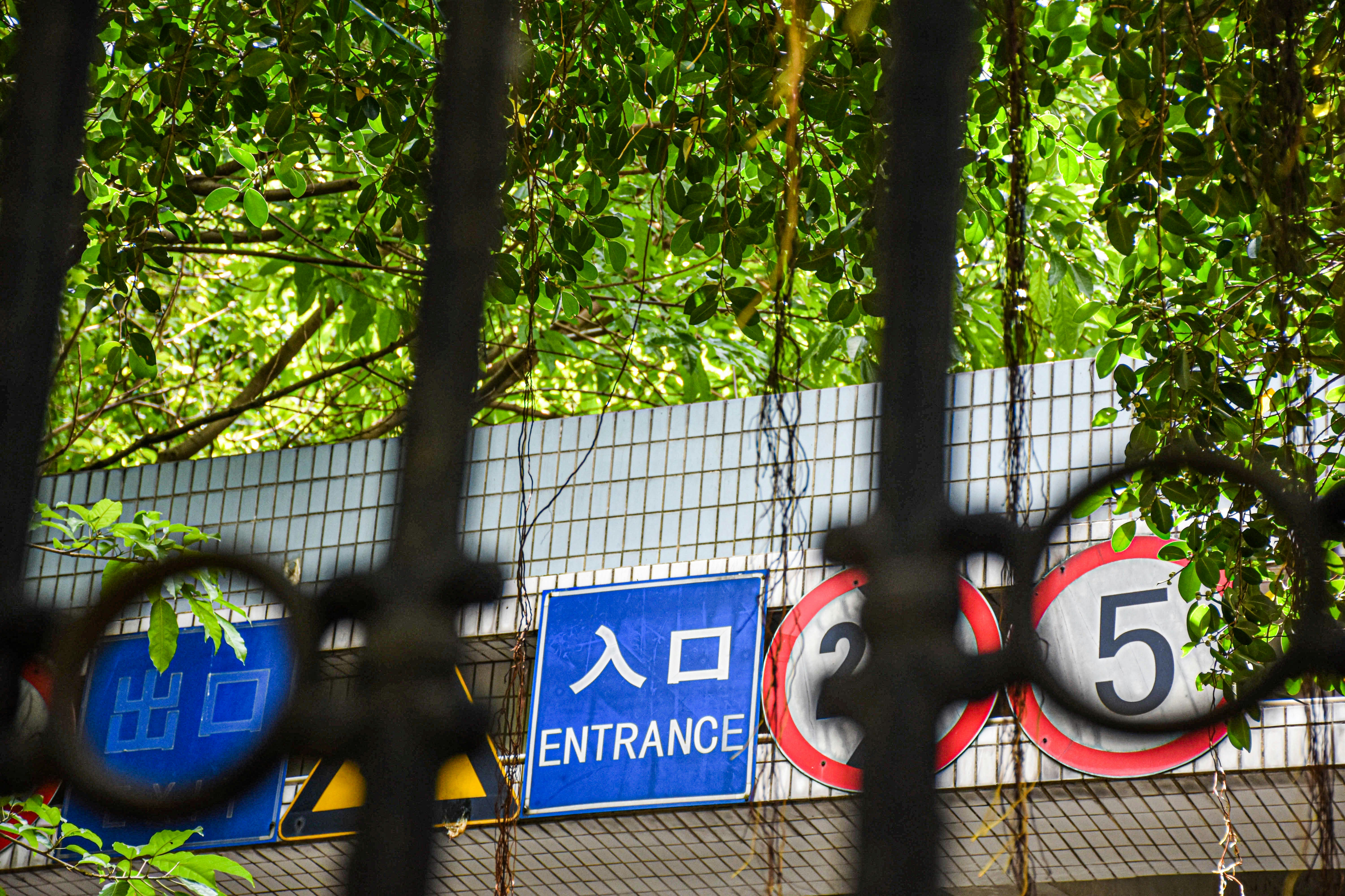 Framed Entrance: Blue Sign Peeking Through a Leafy Fence