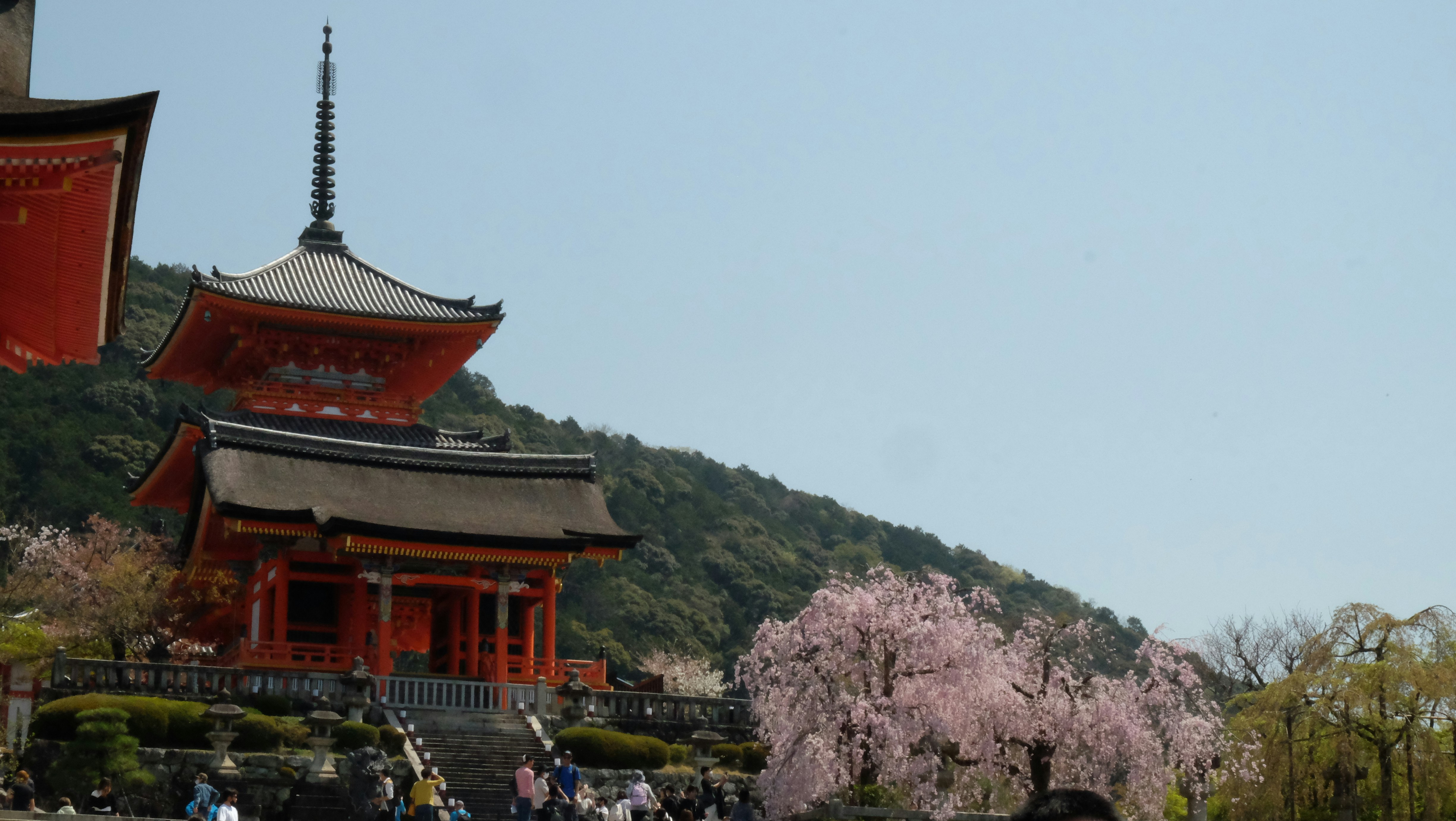 Foto Un alto edificio rojo sentado junto a una exuberante ladera verde ...