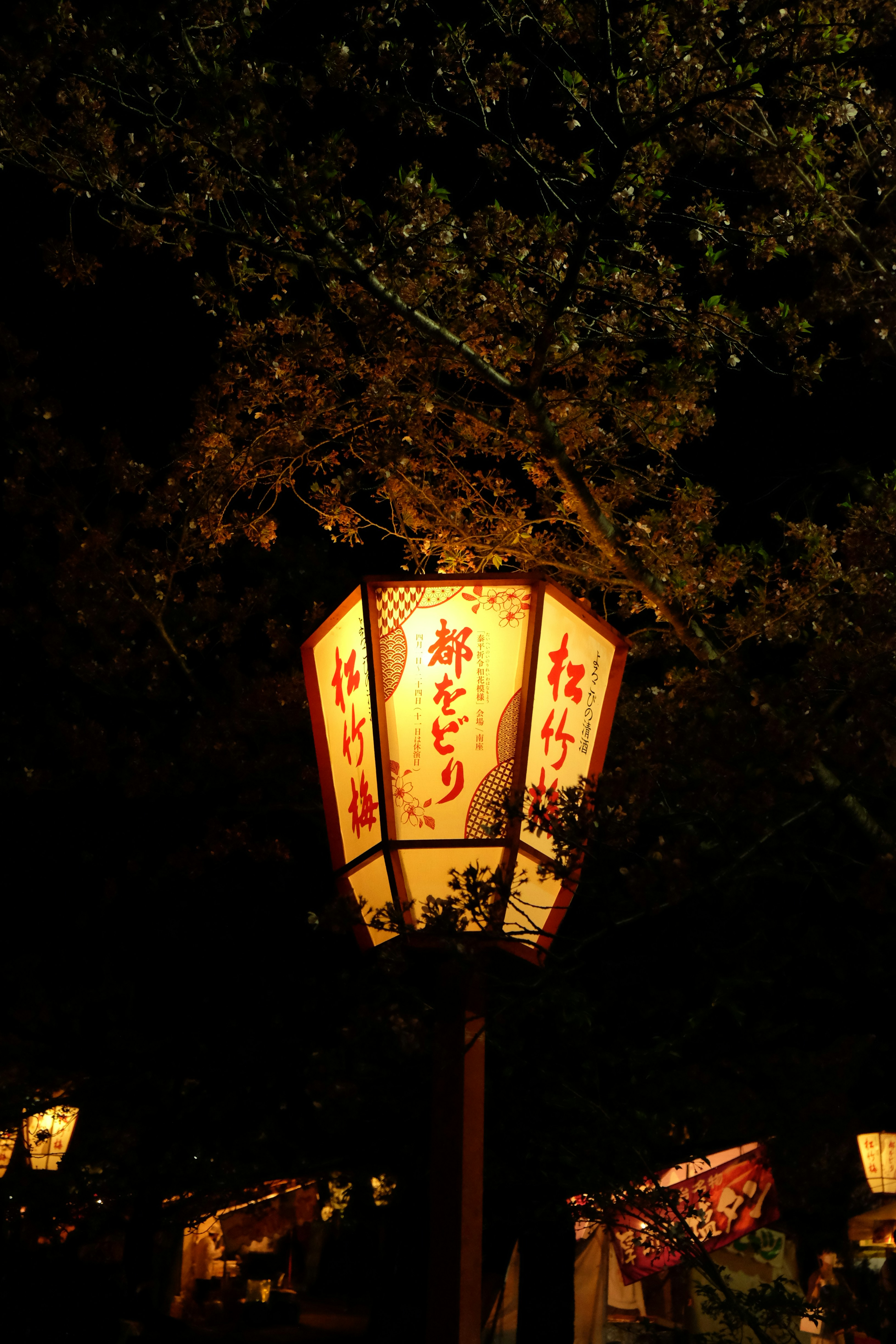 Warm Lantern Amid Blossoms: Night Festival Glow