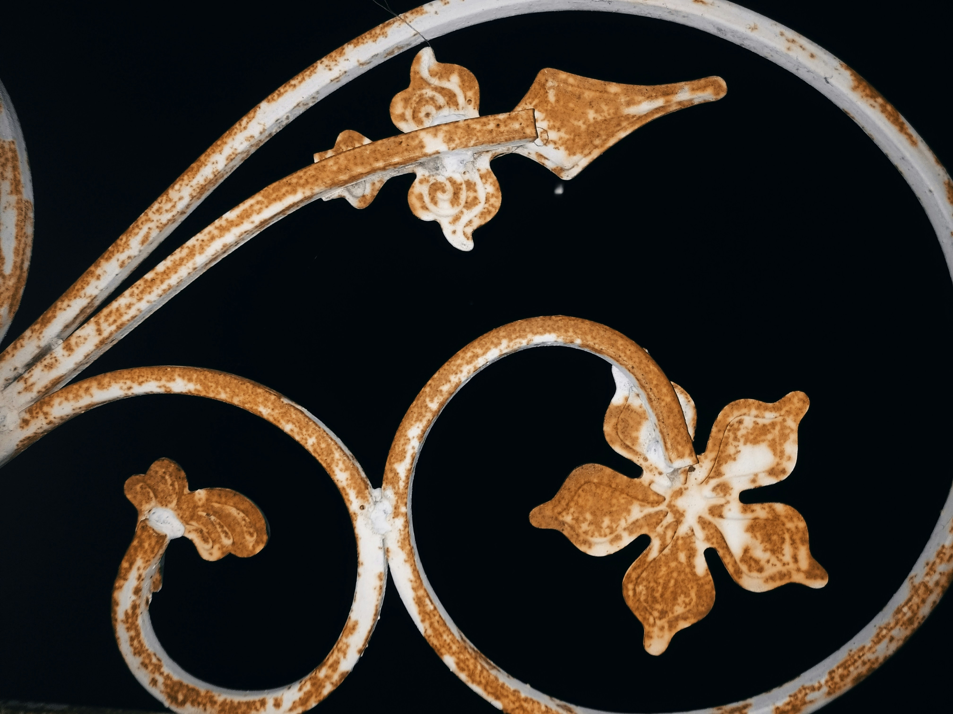 A close up of a decorative iron work photo – Free Brown Image on Unsplash