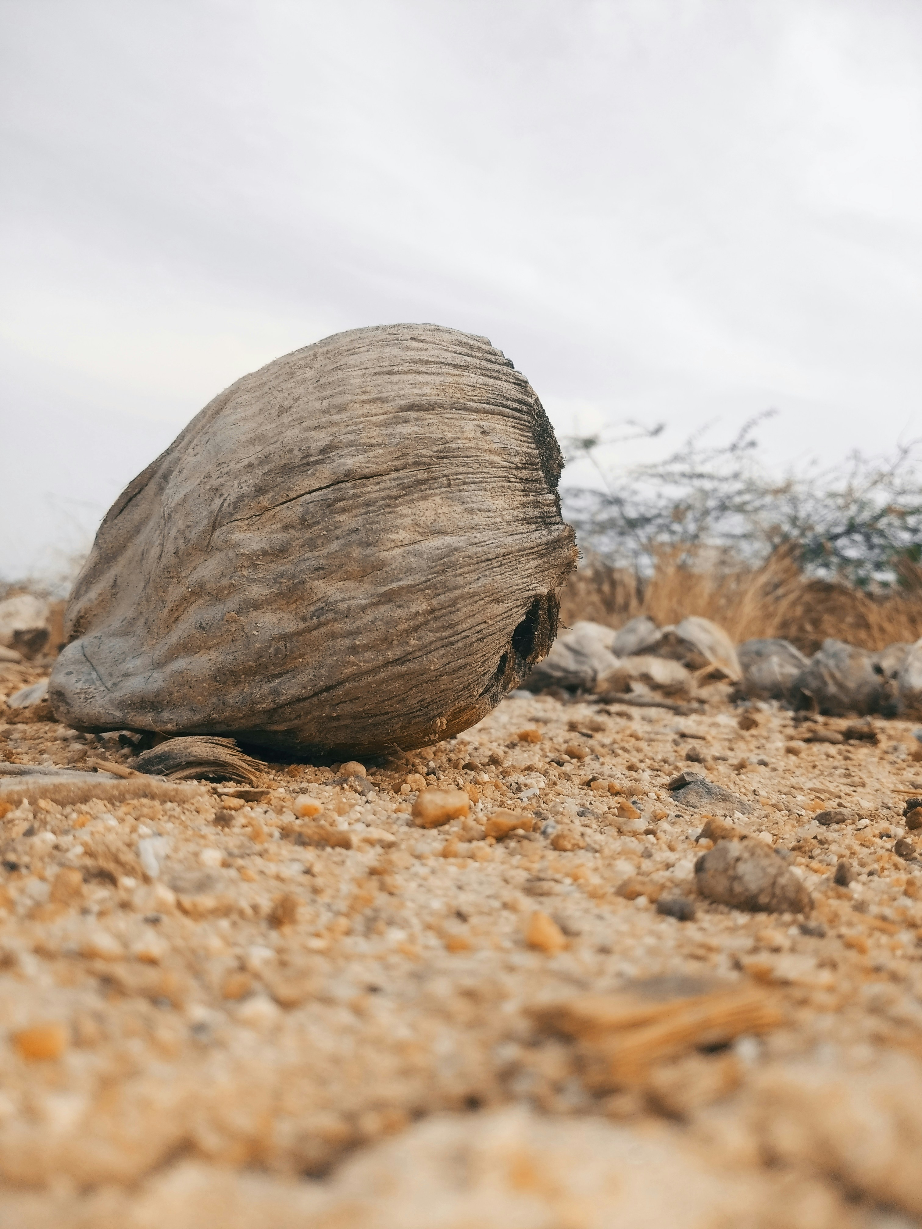 Weathered boulder on a gravel shoreline framed by distant scrub