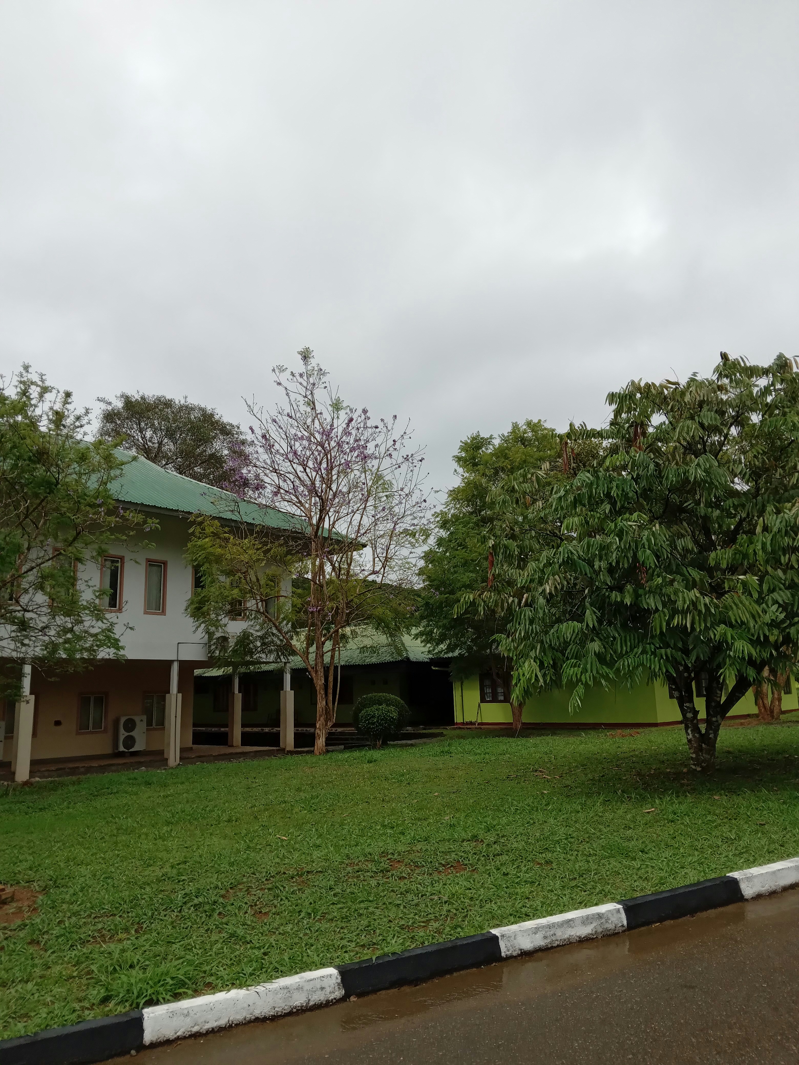 a house with a tree in front of it