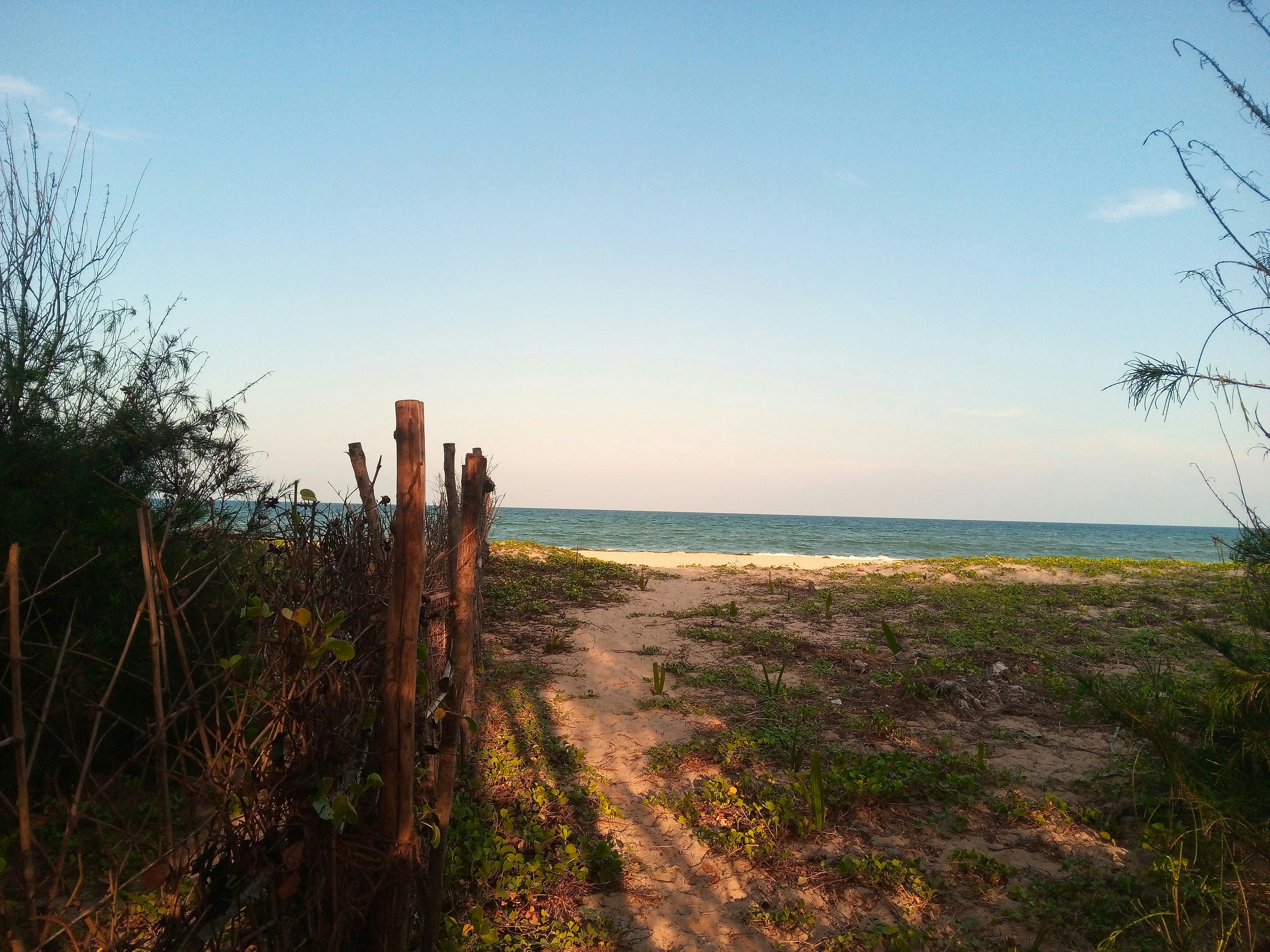 Fence-Lined Path to the Quiet Horizon