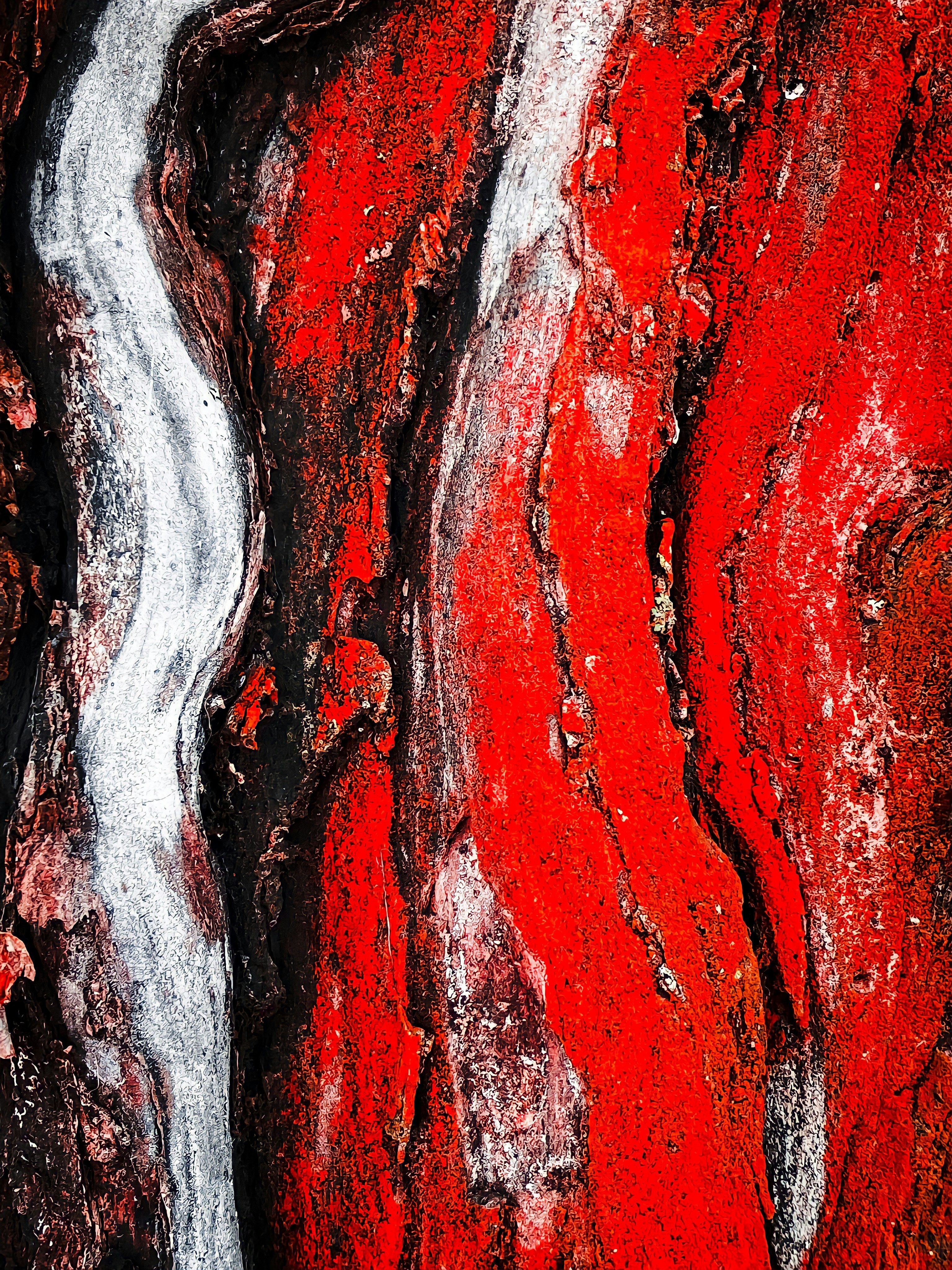 Red Textures | 100+ best free red, texture, pattern and background ...