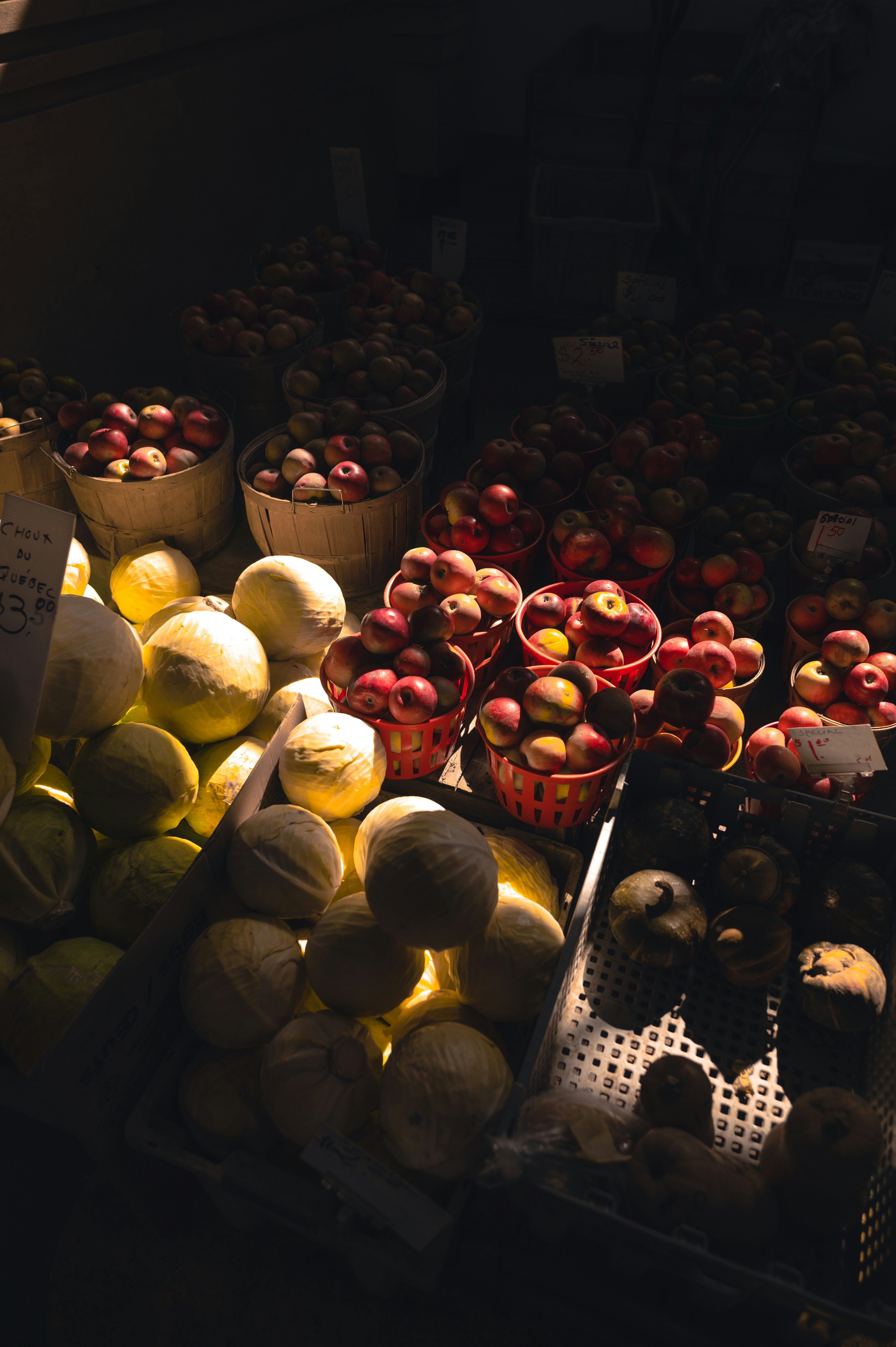 Golden Halos: Morning Produce Bathed in Spotlight