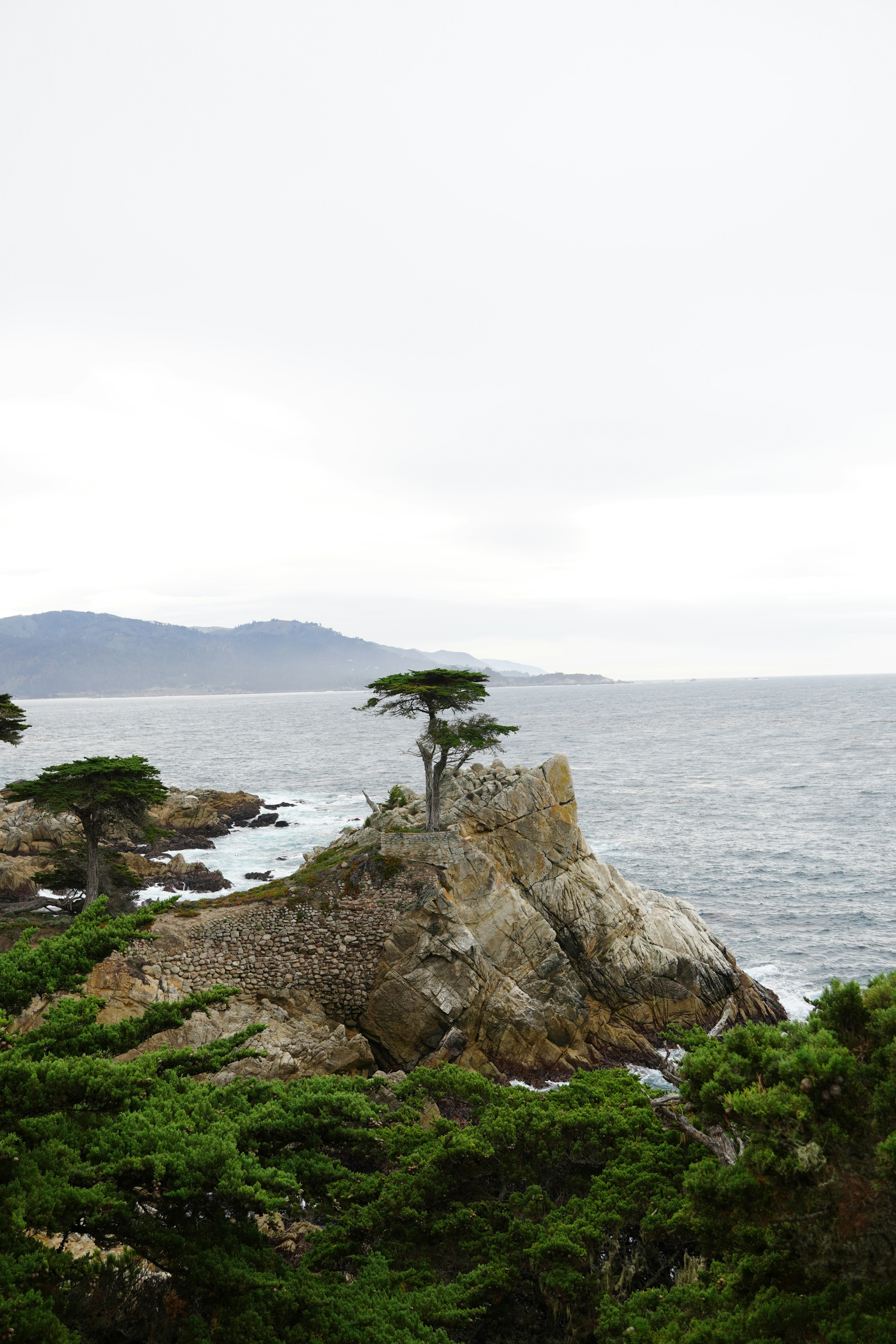 Small Rock Pictures | Download Free Images on Unsplash