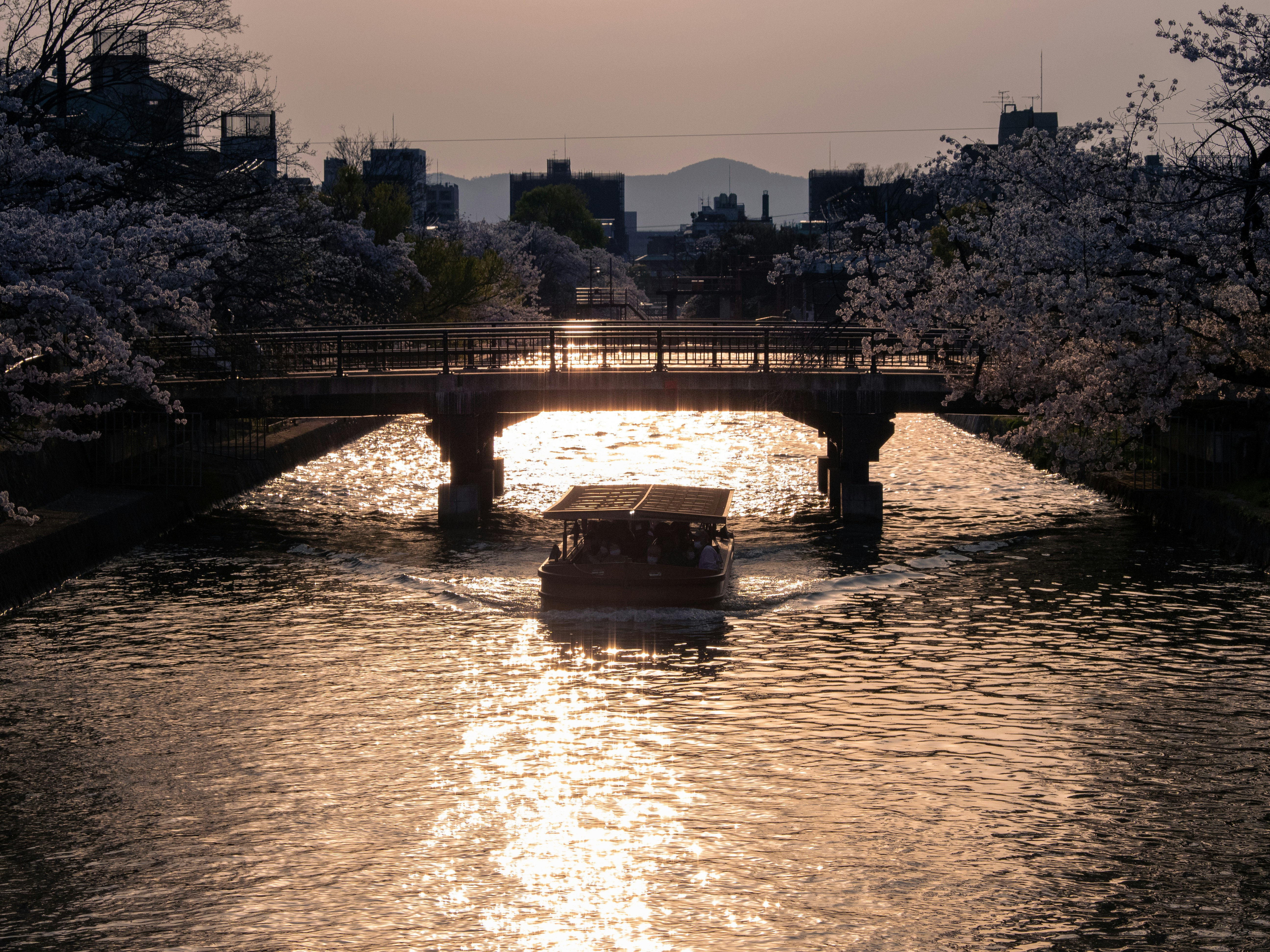 A boat traveling down a river under a bridge photo – Free Traditional ...