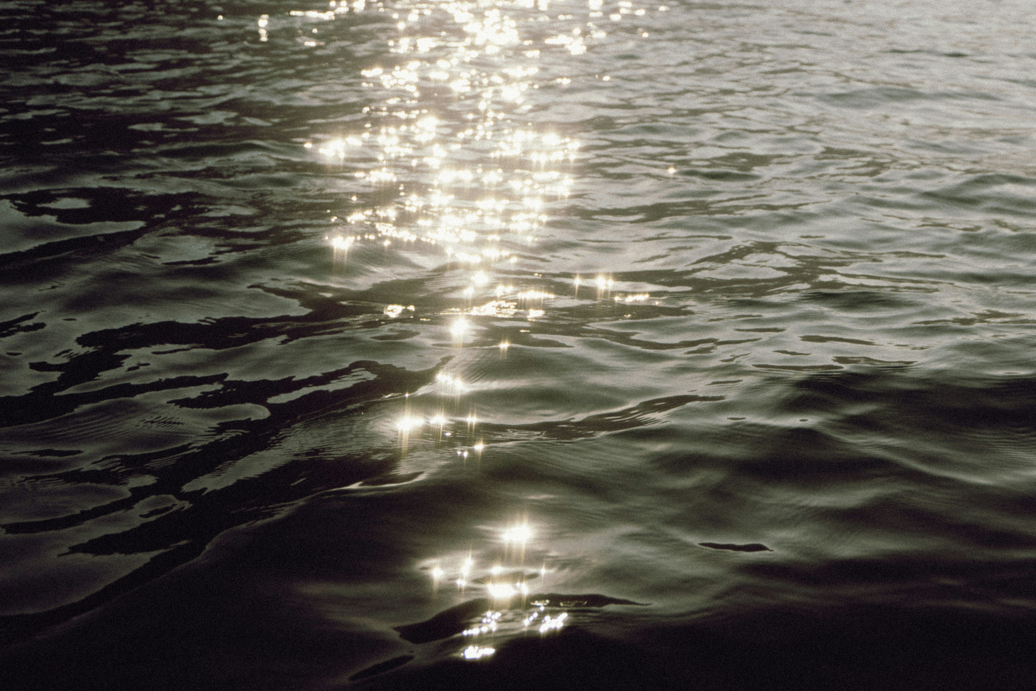 Sunlight dances on the surface of calm water, creating a mesmerizing pattern of sparkling reflections.