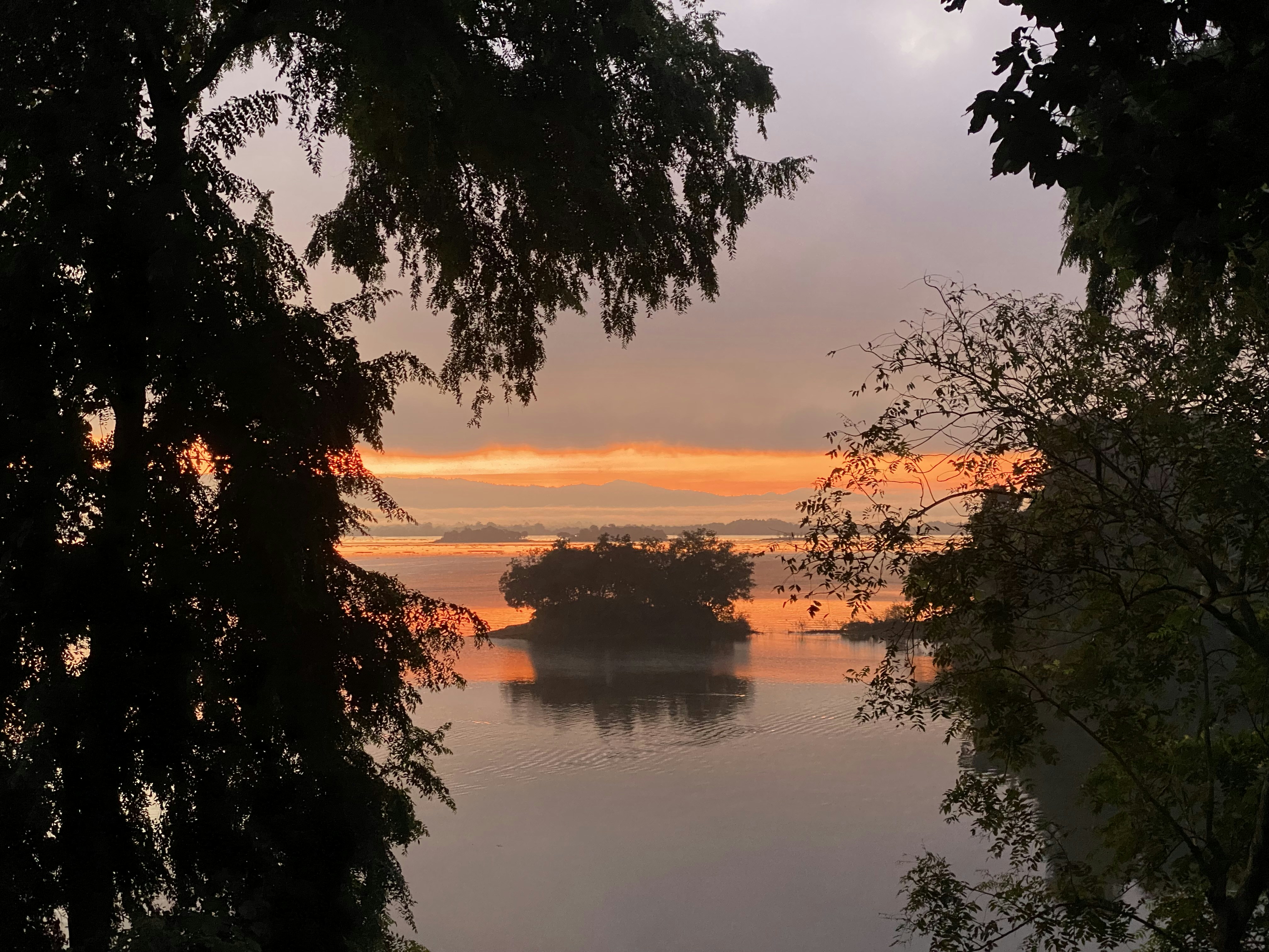 Sunset Reflections Through Quiet Pines on a Glassy Lake
