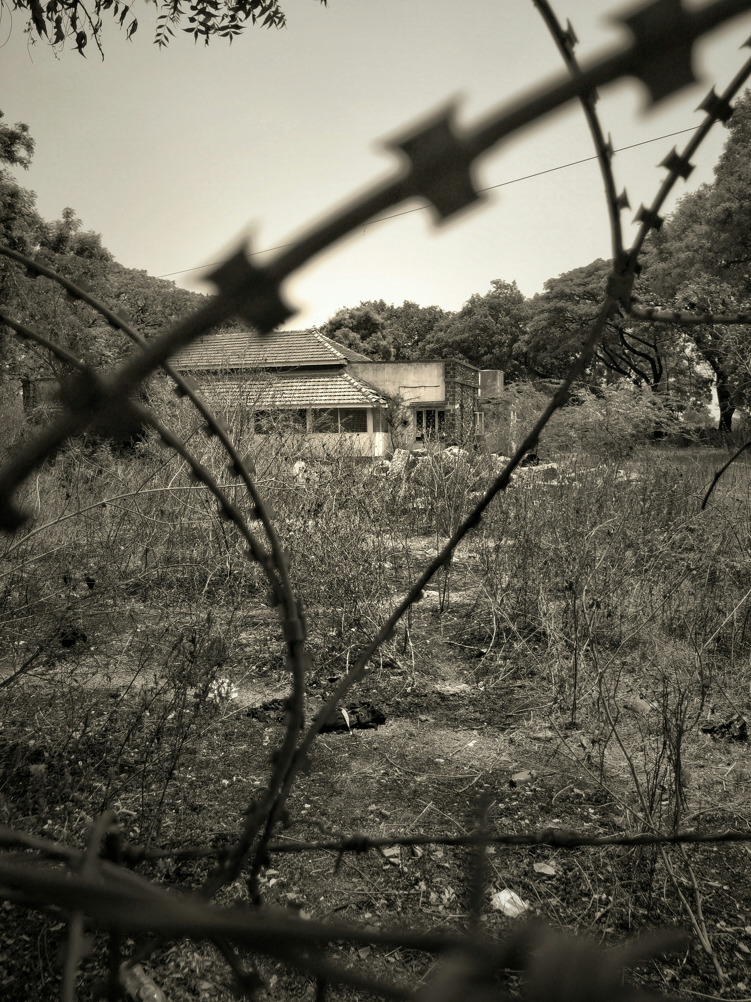 Barbed Horizon: An Abandoned Home Framed by Brambled Perimeter