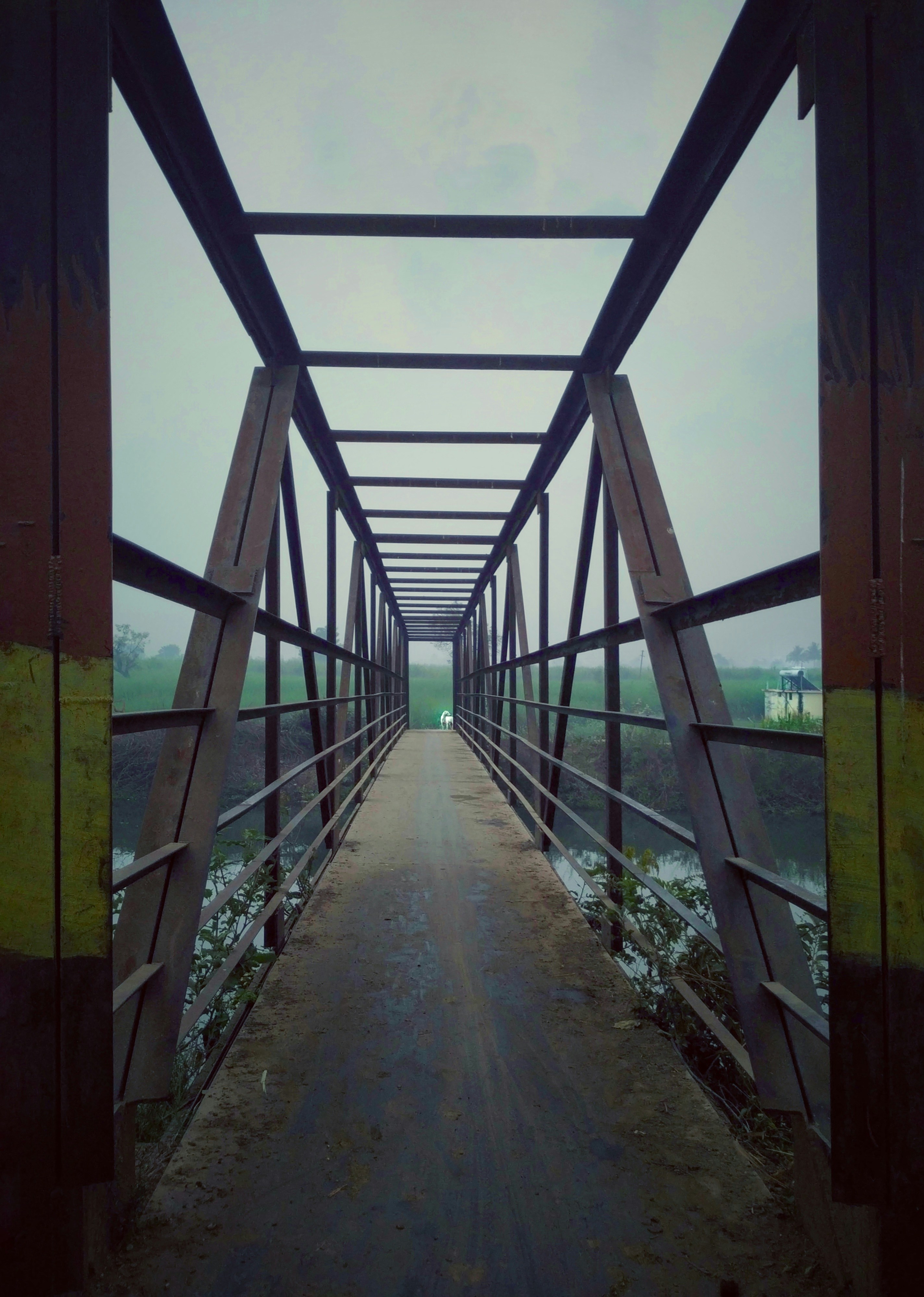 Metal bridge leading into a foggy landscape, framed by steel beams and a dirt path. A hint of greenery is visible in the background.