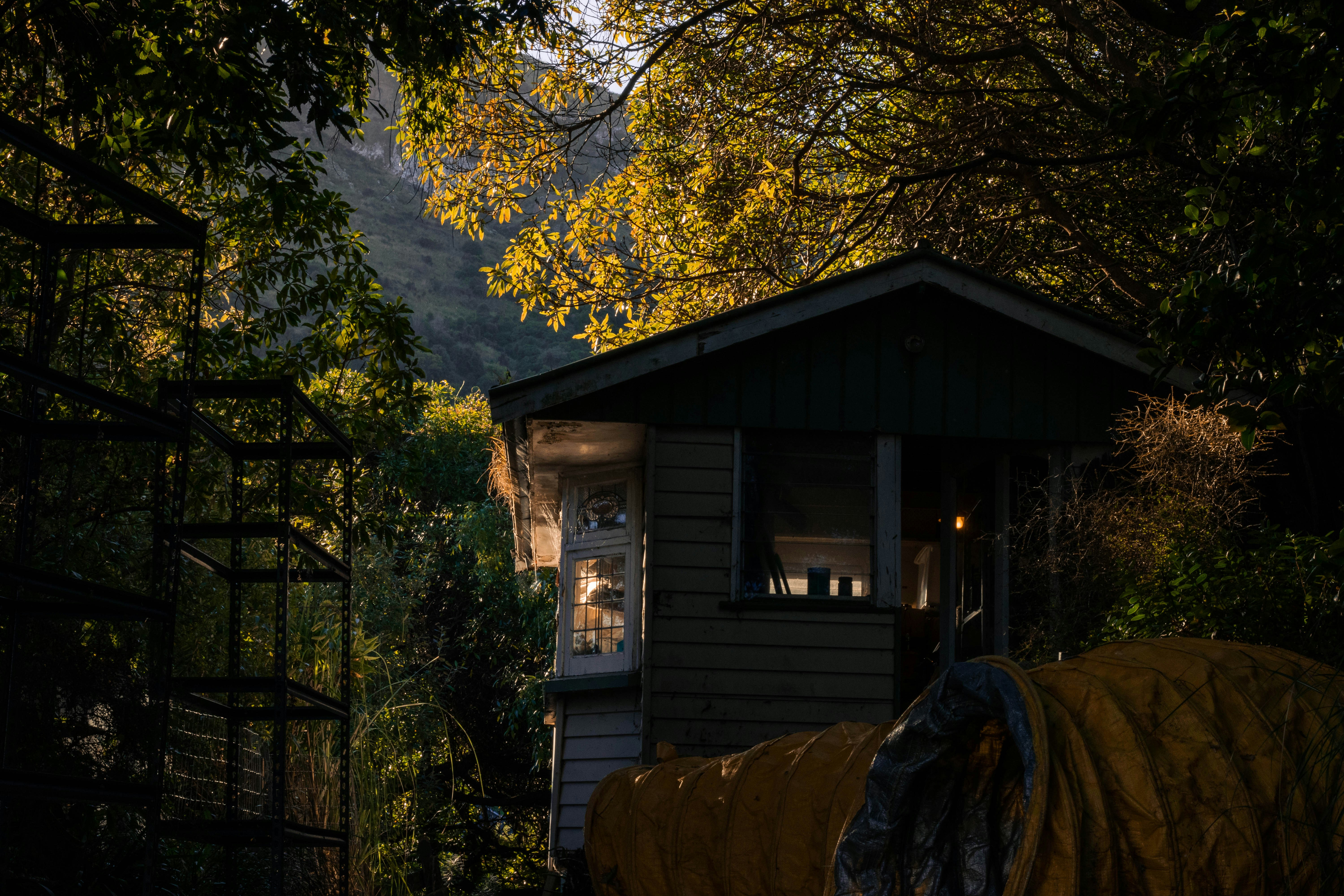 Cabin in the Dappled Pines at Dusk