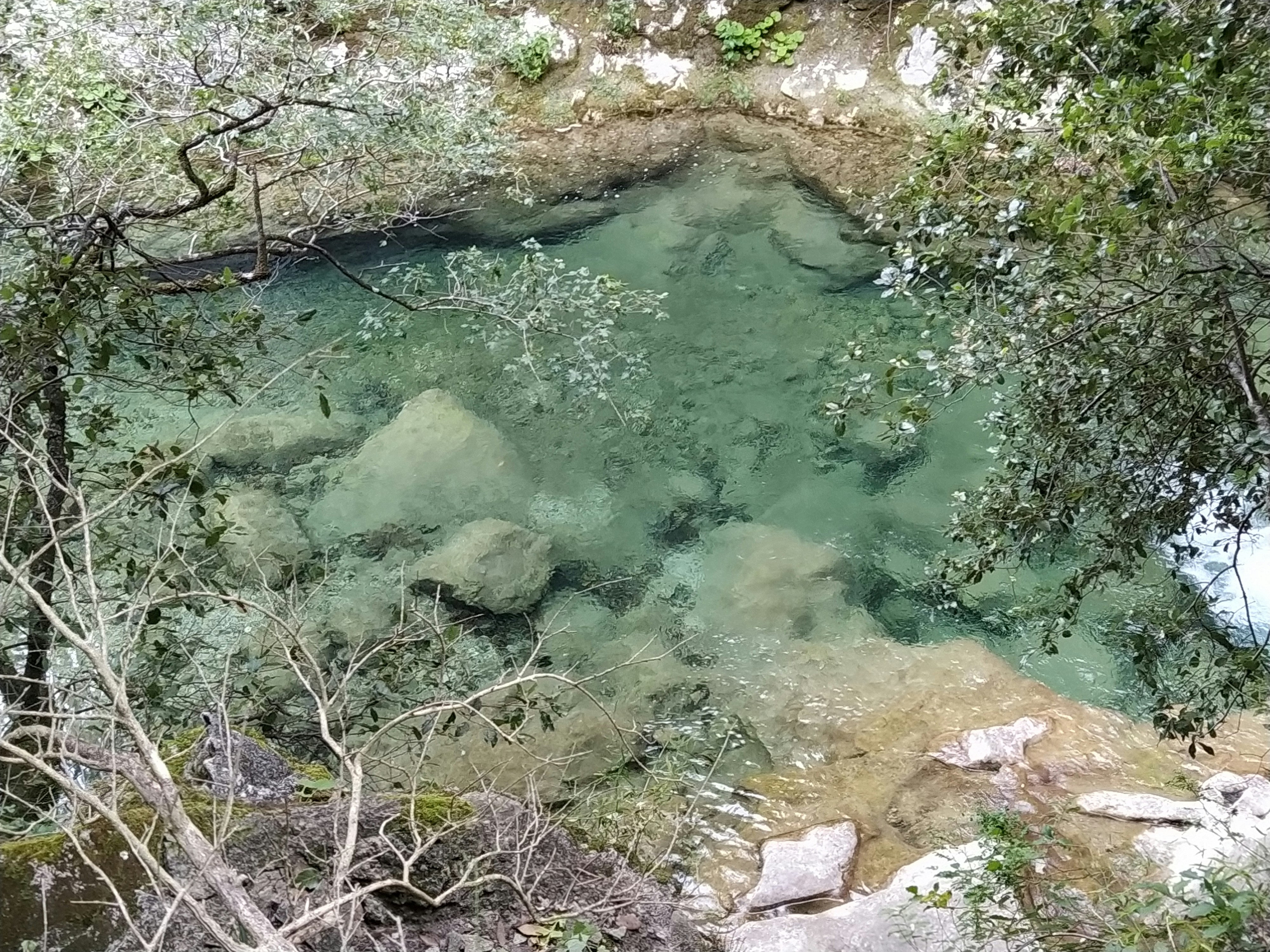 Sample photo from Xiaomi Mi A3