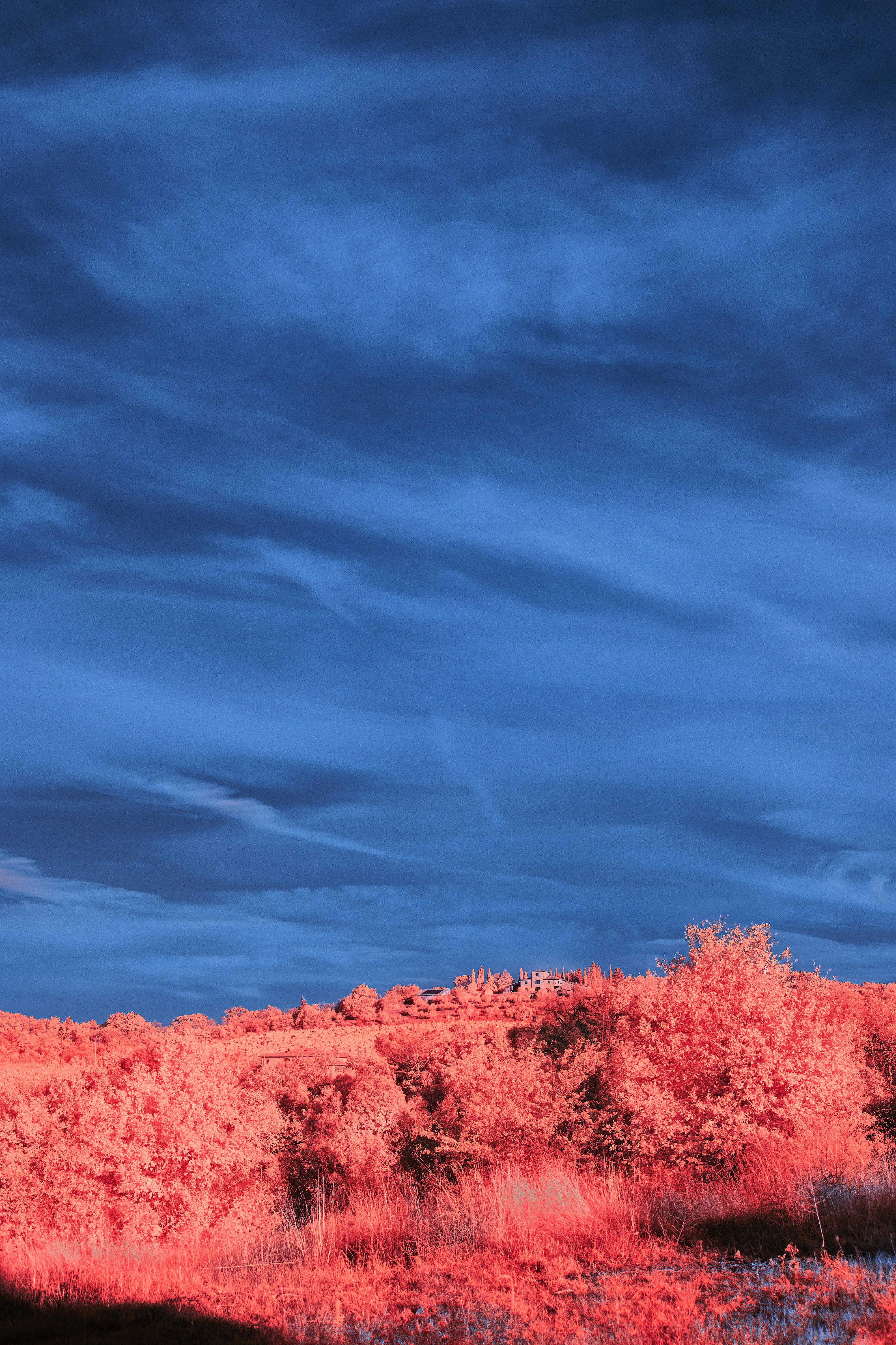 Vibrant red foliage contrasts with a deep blue sky, creating a surreal landscape. The scene evokes a dreamlike atmosphere.