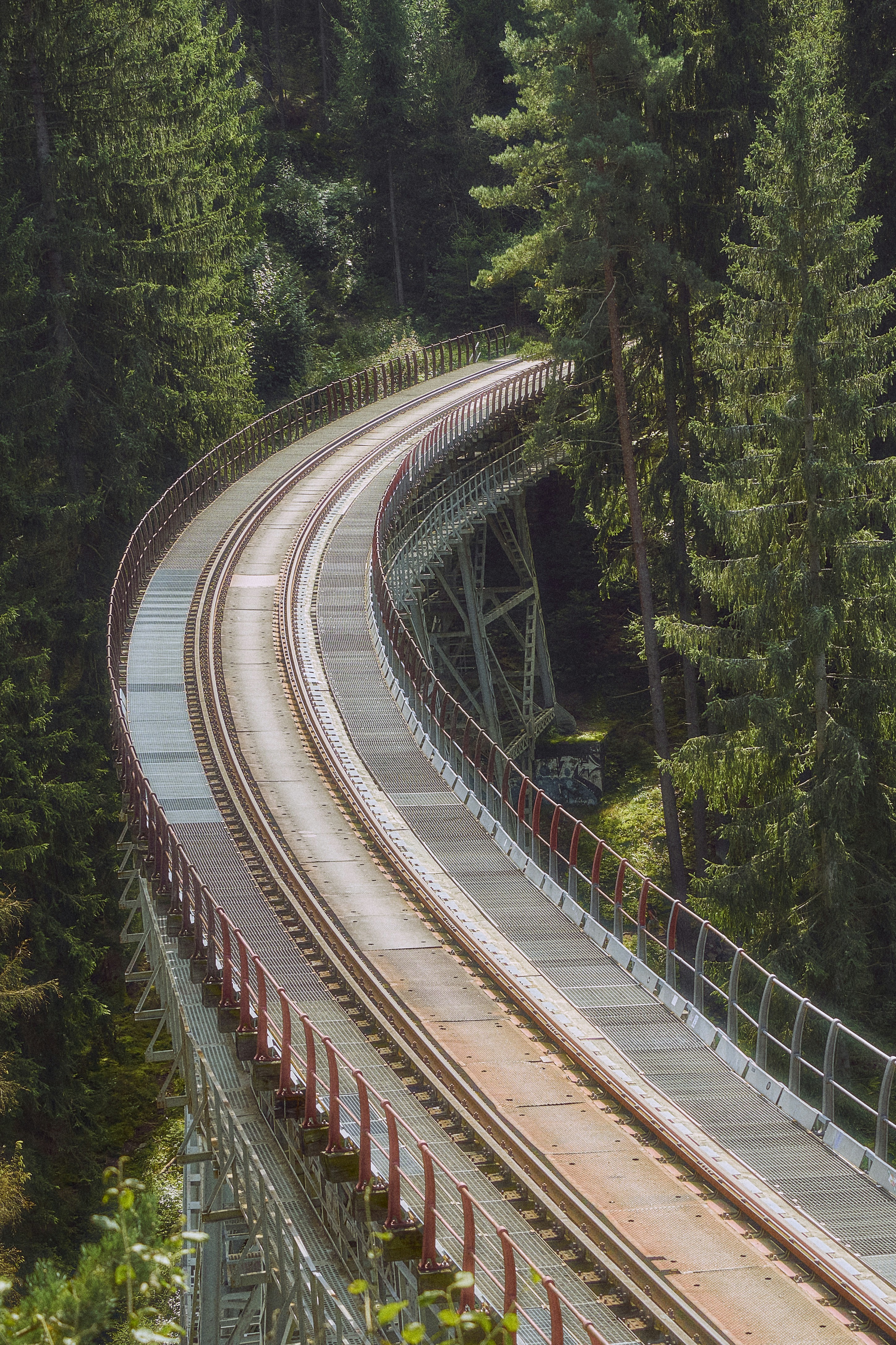 Arc of Steel through the Pines: A Winding Forest Bridge