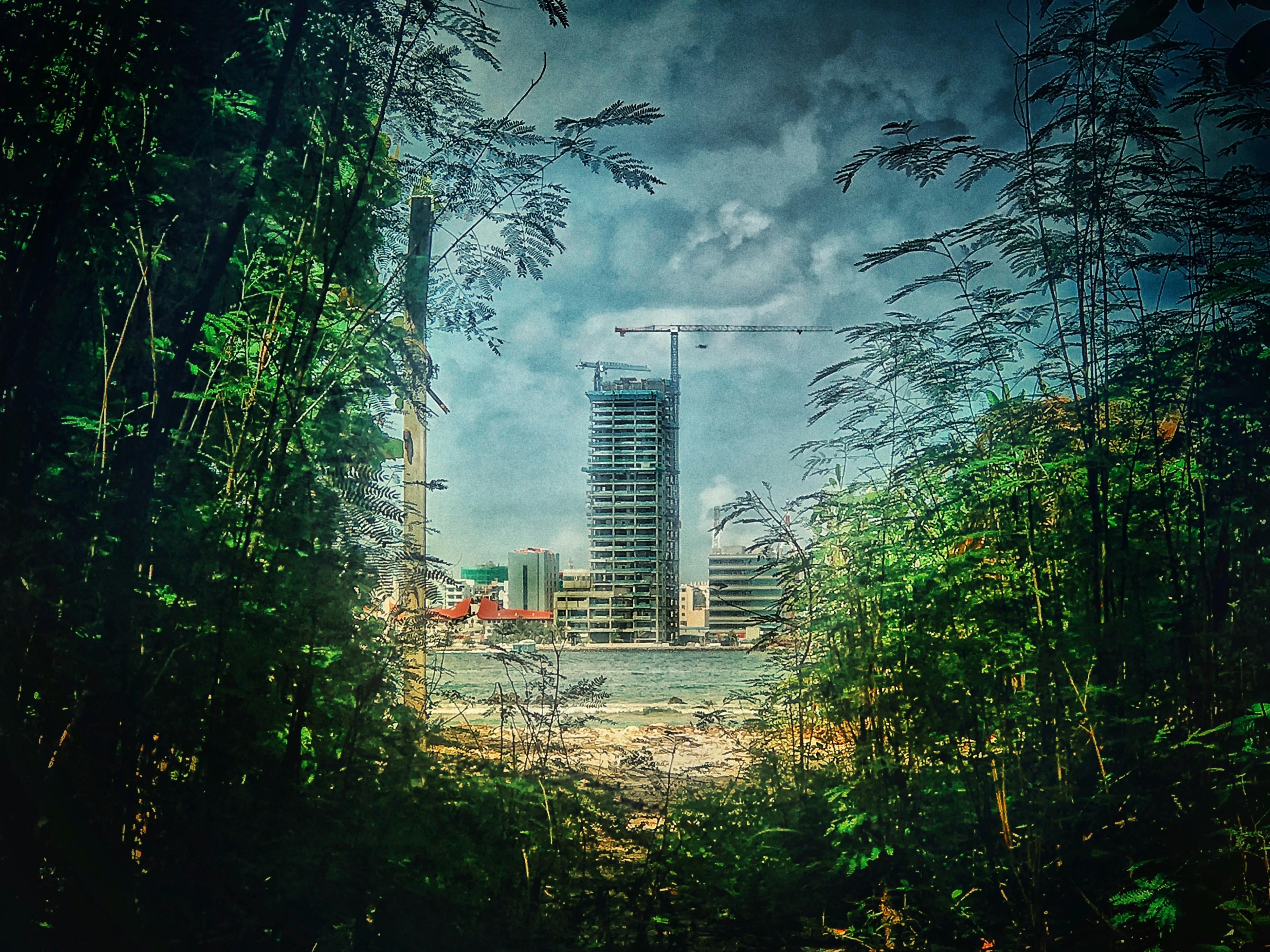 Vacant city cradle: a construction crane rises through the encroaching brush