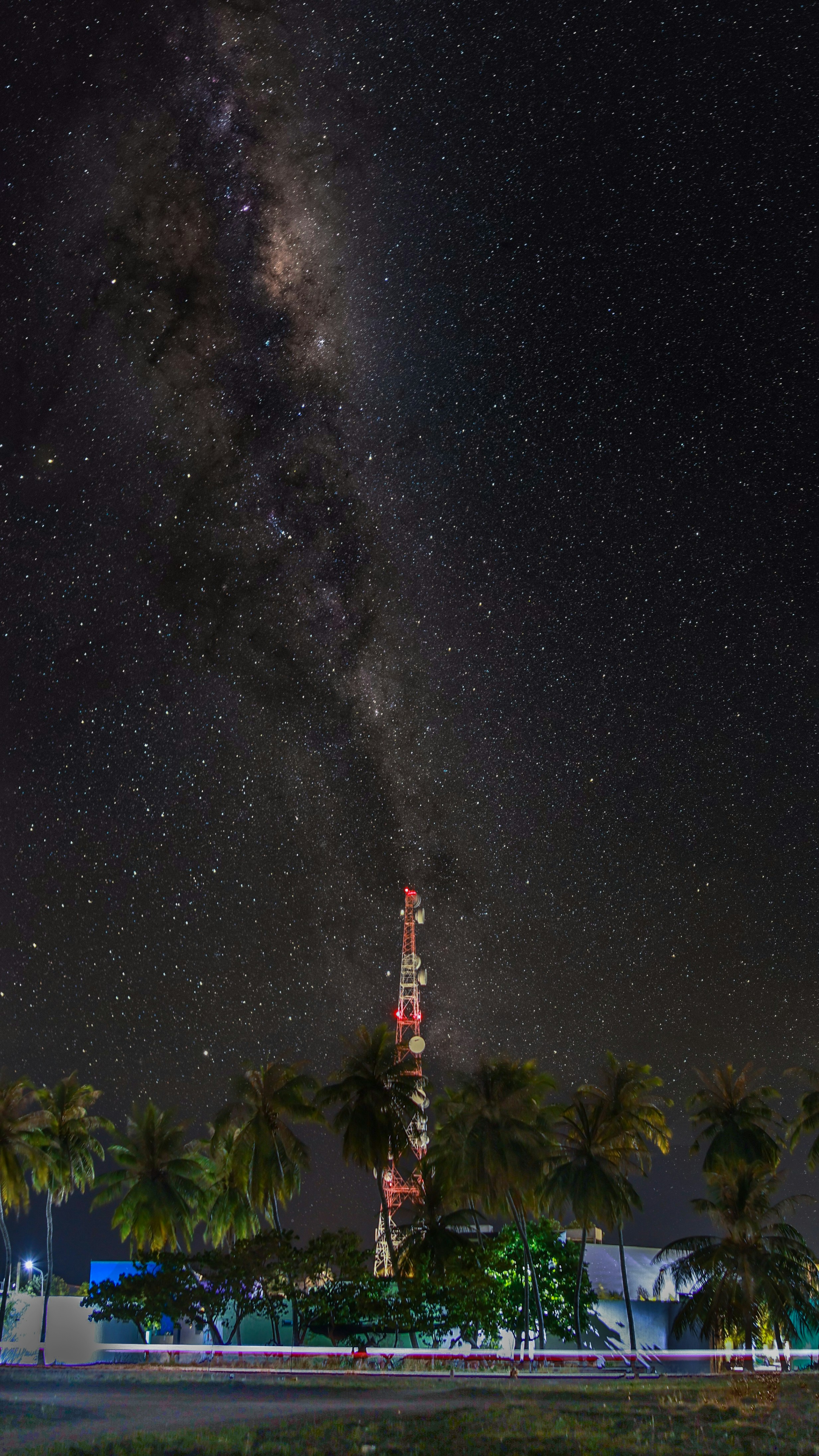 Milky Way Over a Palm-Lined Tower: A Quiet Coastal Nightscape