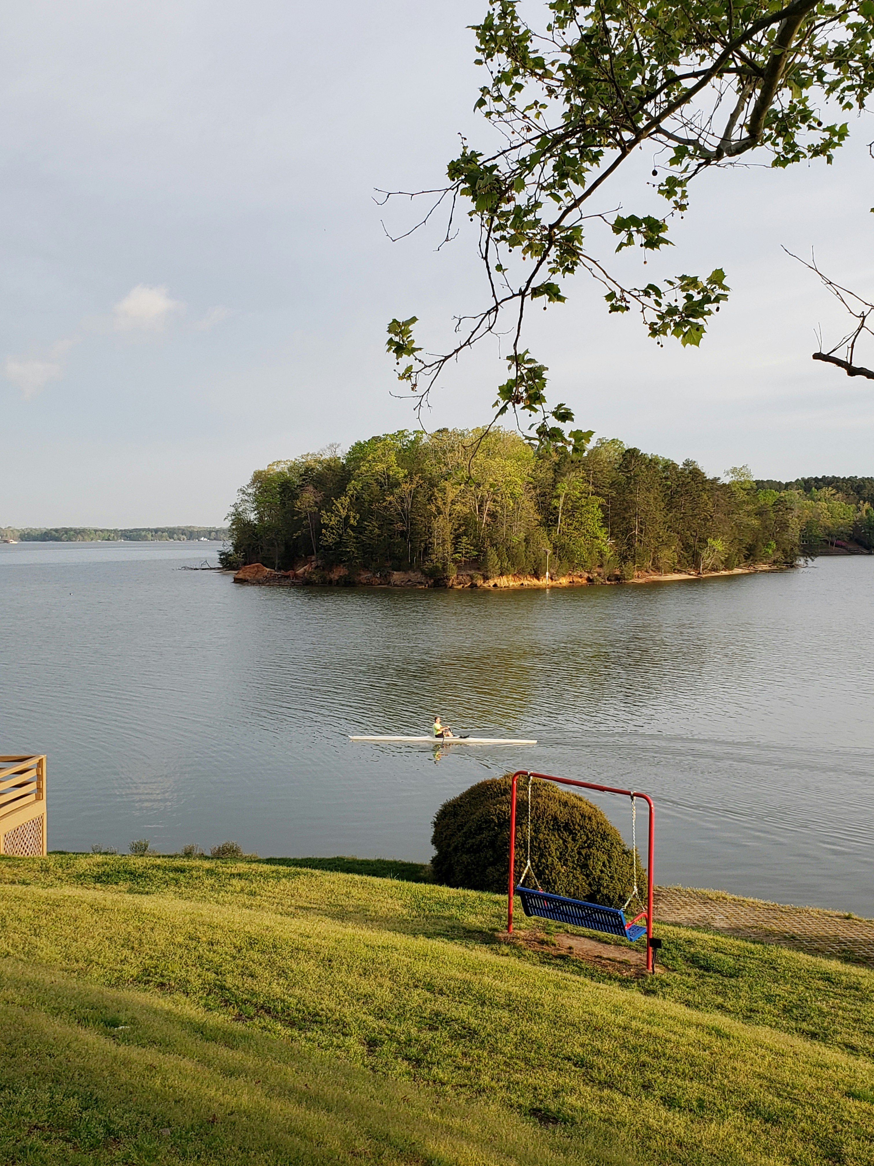 Serenity on the Water: A Rower's Journey