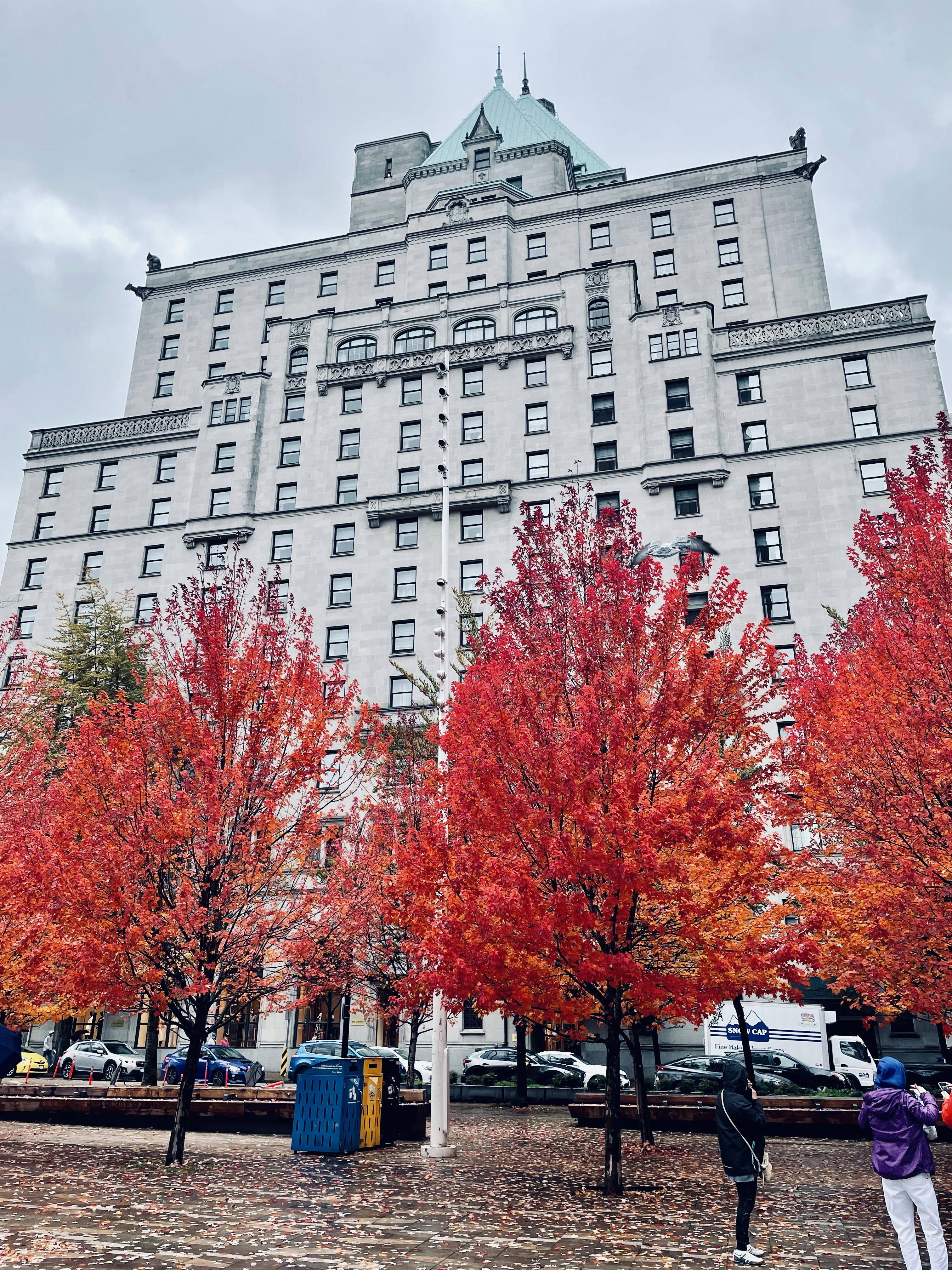 Autumn Crimson Canopies Framing a Monolithic City Facade