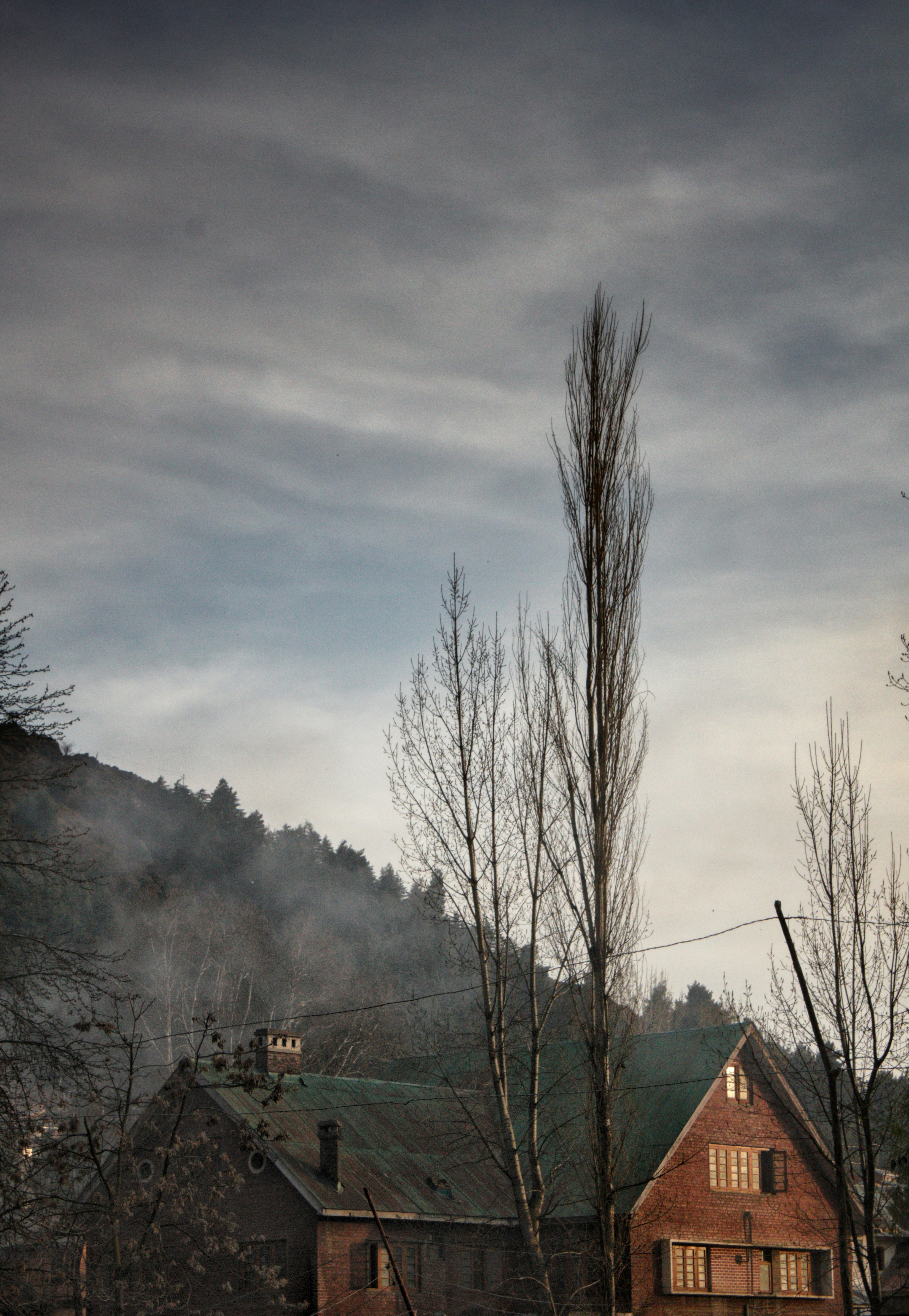 Whispers of the Past: A Forgotten Homestead