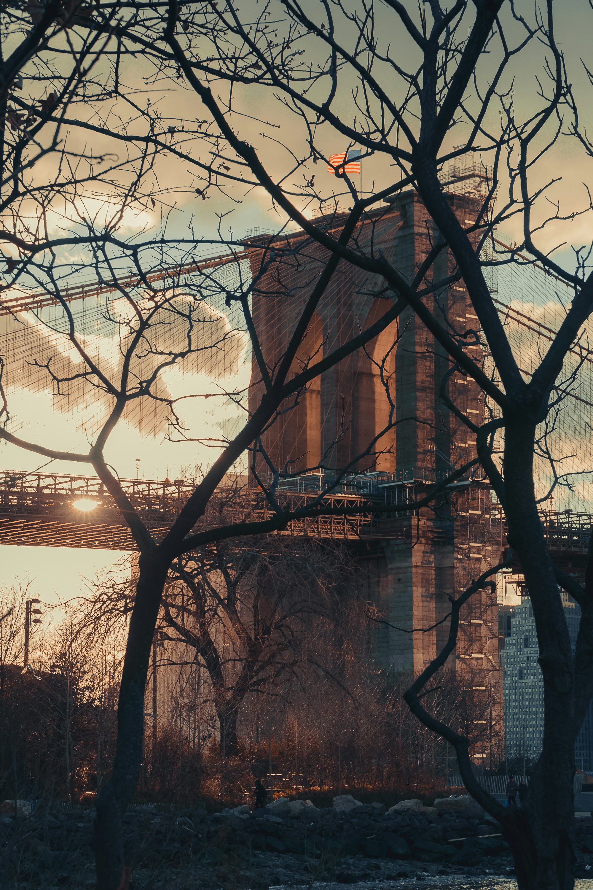Bridge in silhouette: urban trees frame the horizon at golden hour