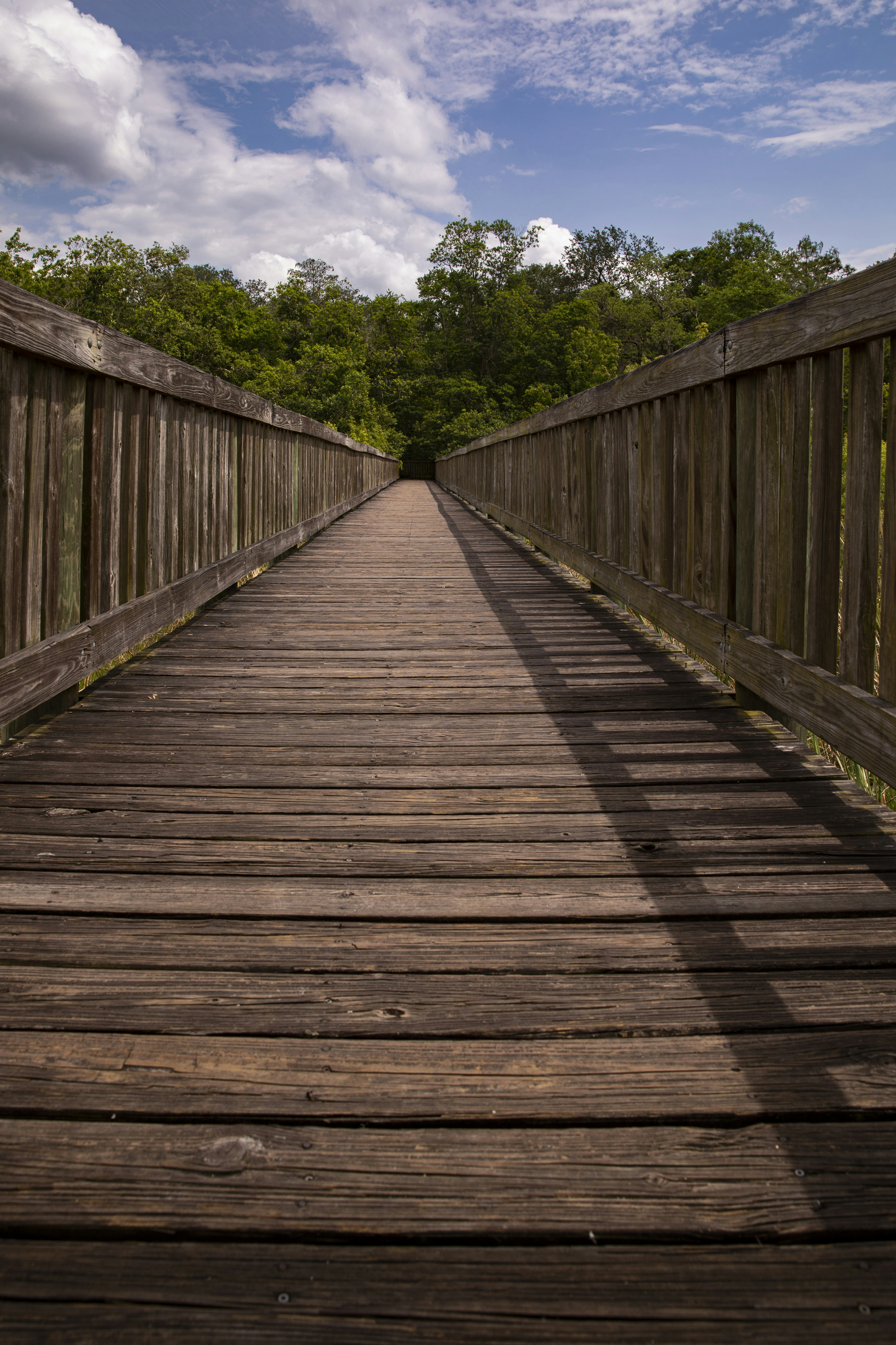 Wooden bridge leading into a lush green landscape under a partly cloudy sky.