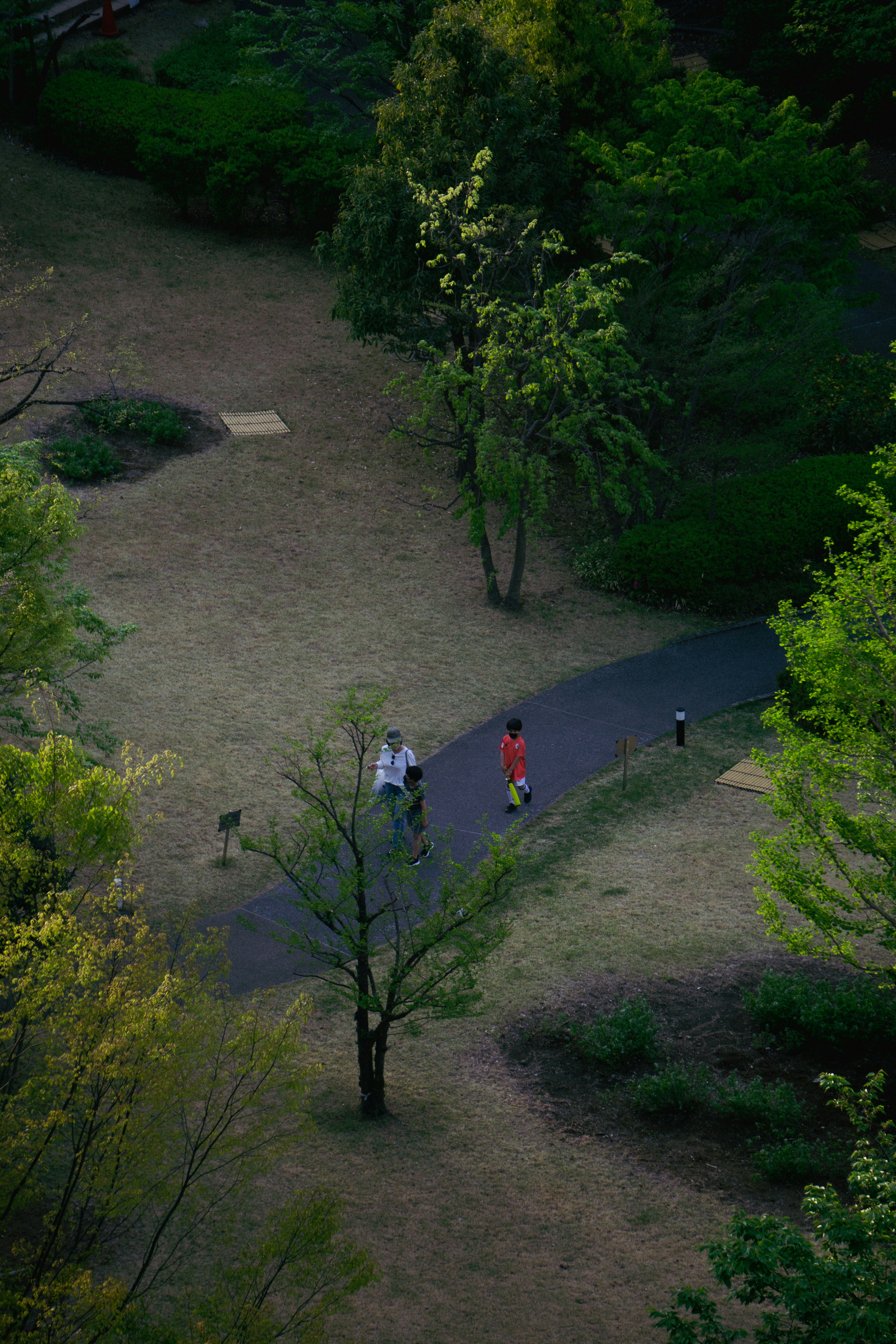 people walking through trees