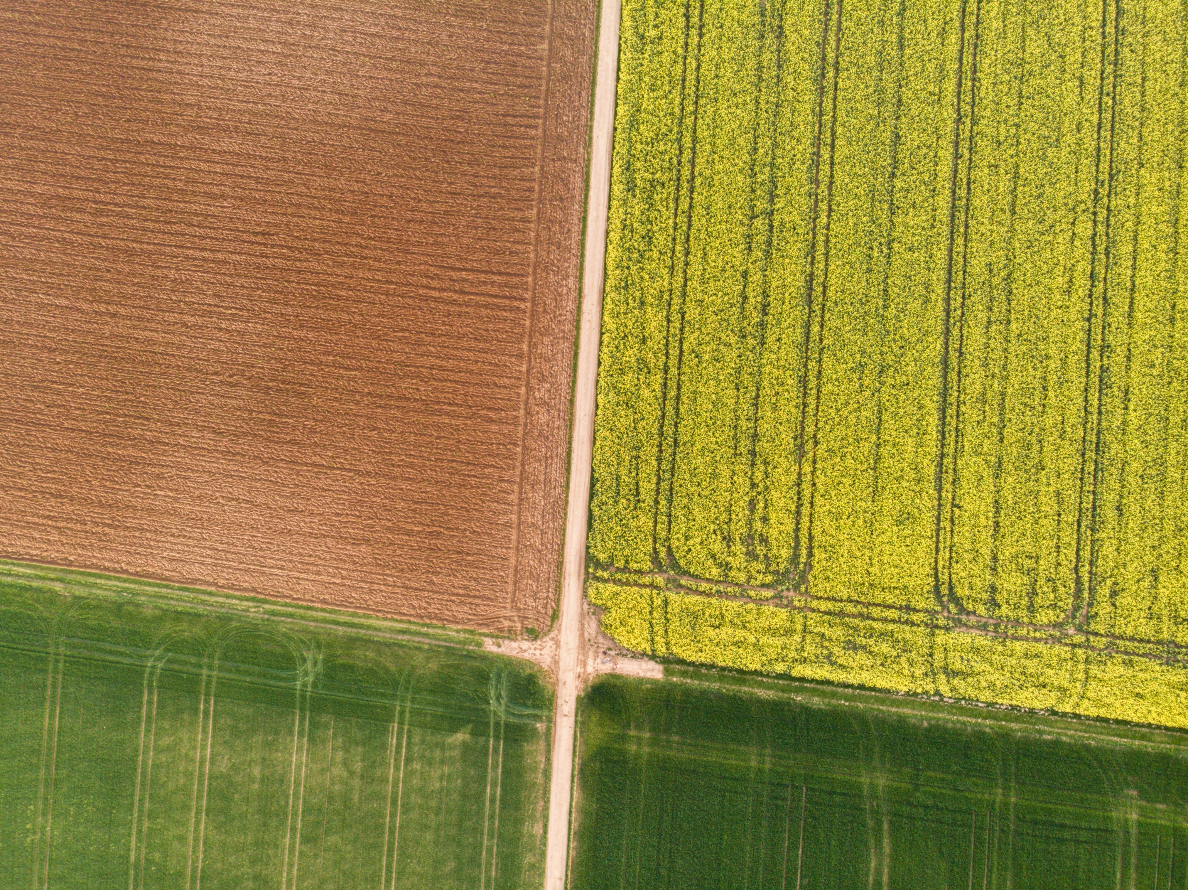 An aerial view of a large field of crops photo – Free Ladenburg Image ...