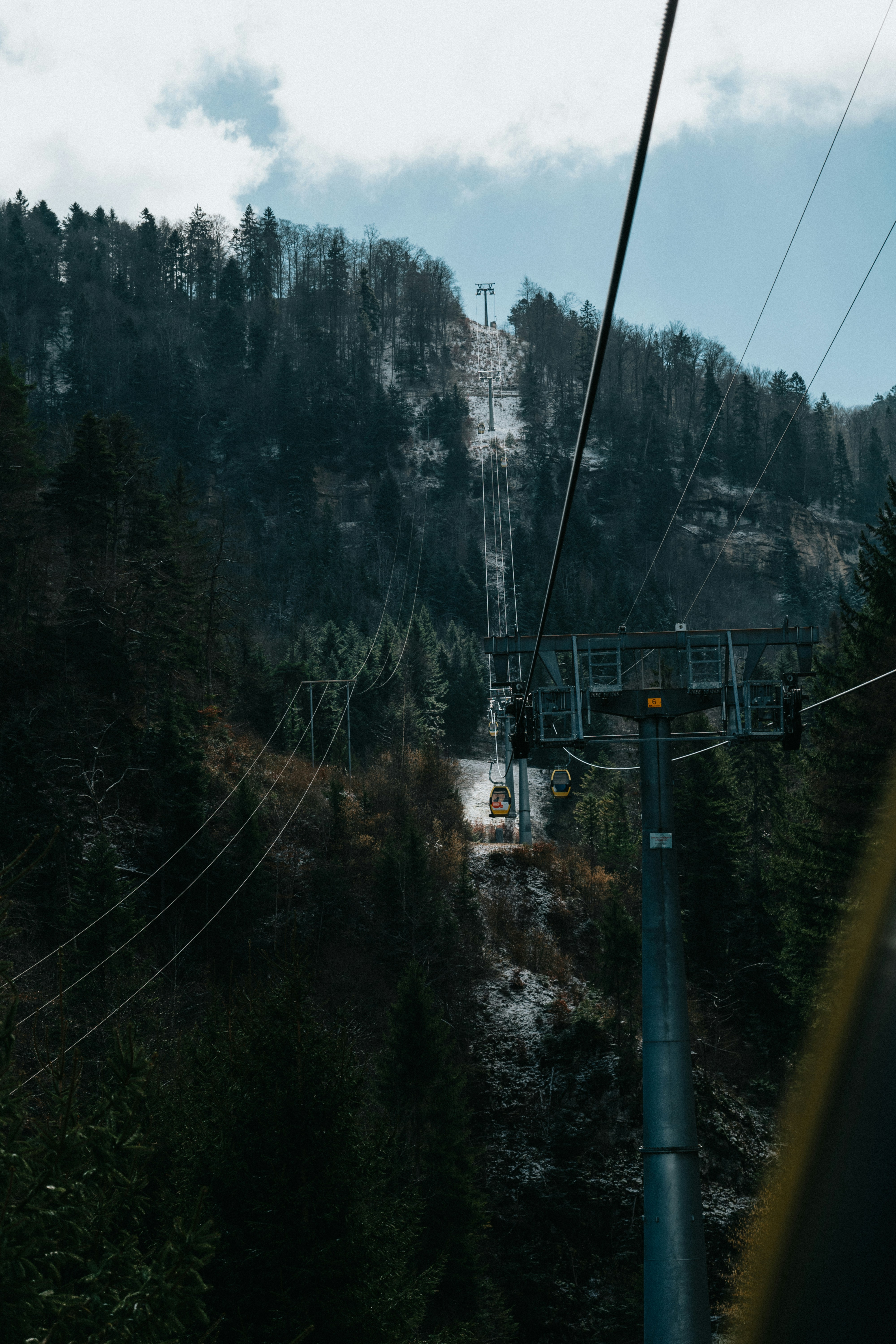 Ski lift ascending through a dense forest, framed by towering trees and a misty mountain backdrop.