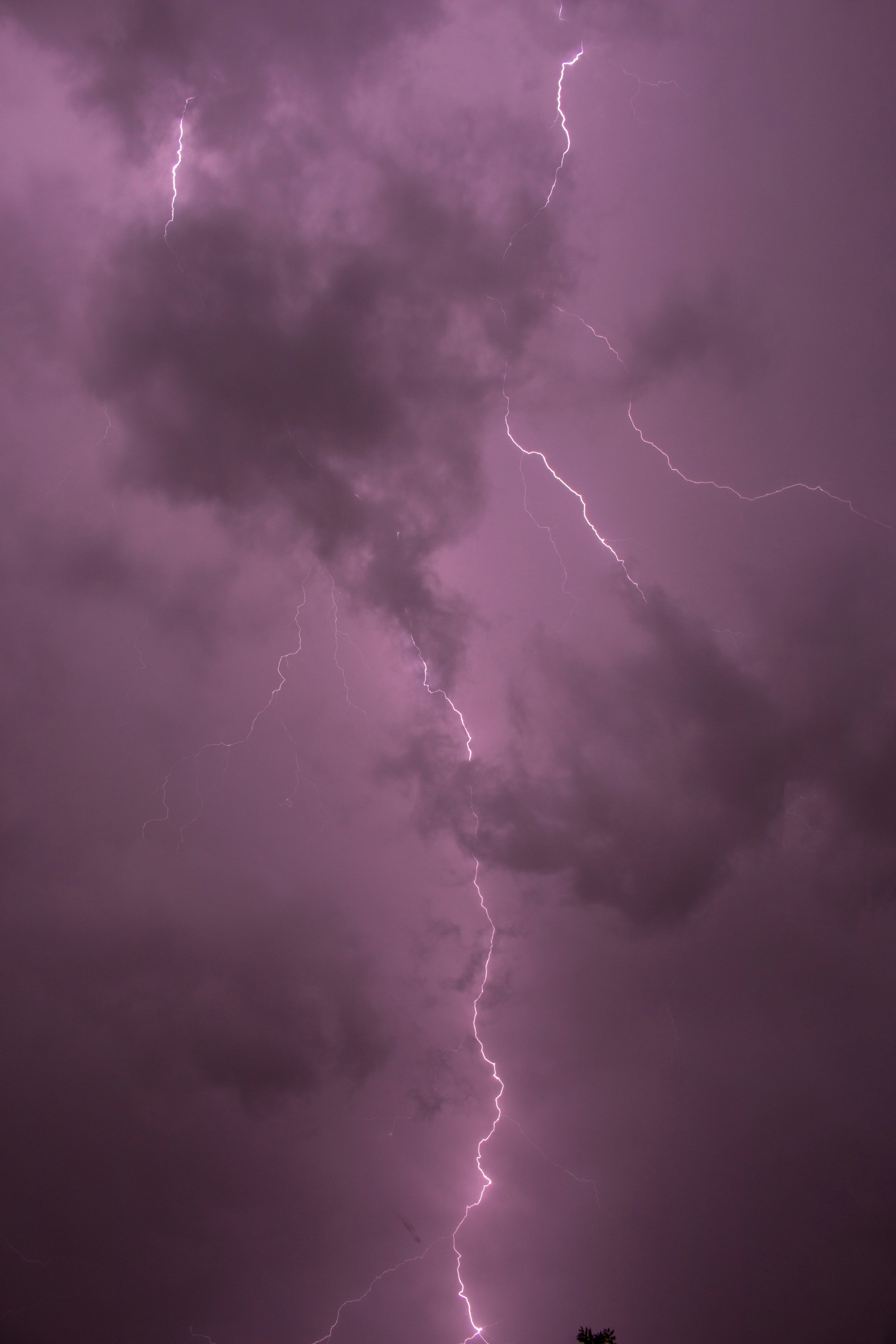 Vivid purple lightning strikes through dark storm clouds, illuminating the sky in a dramatic display.