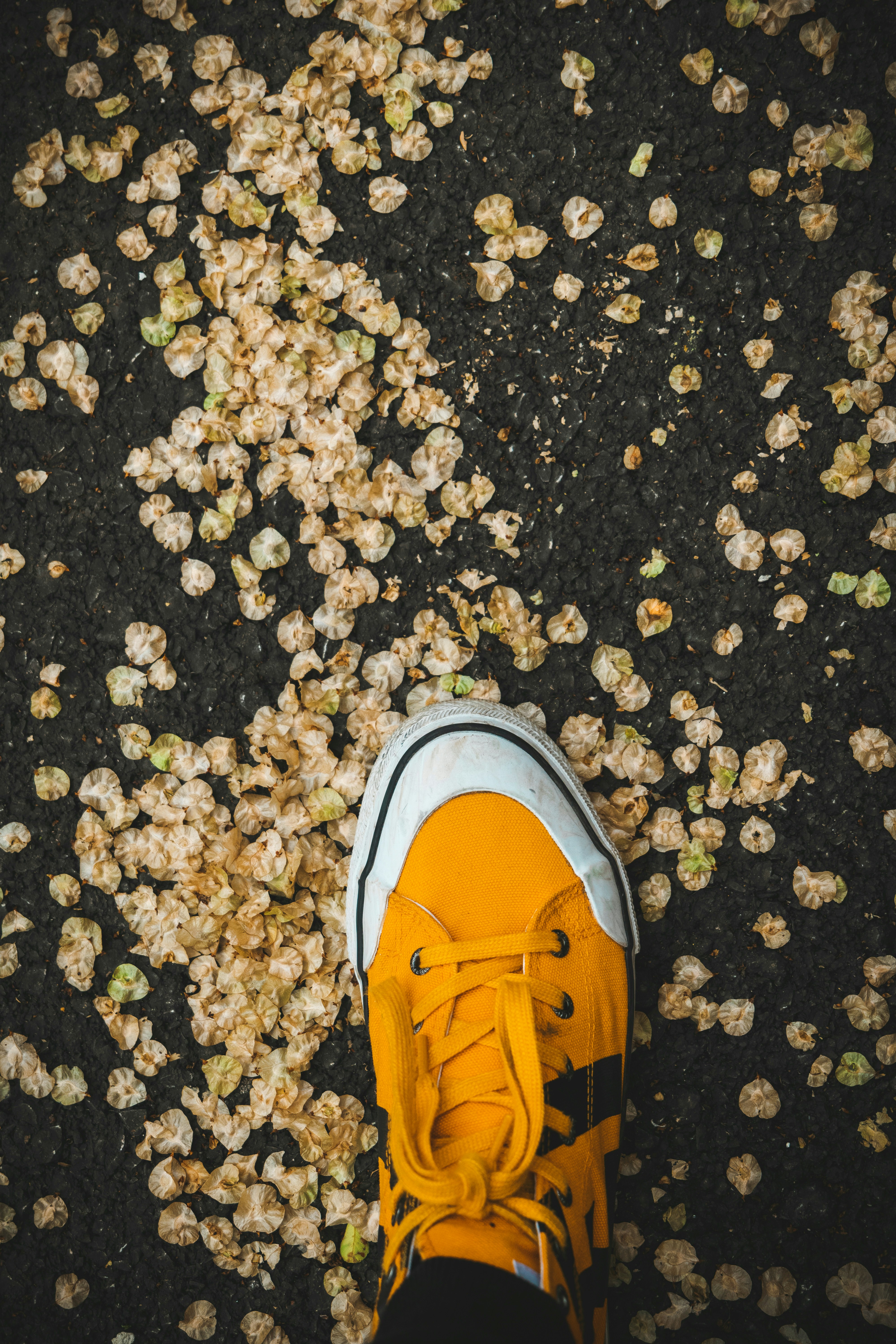 Amber Sneaker on a Leaf-Strewn Asphalt Stage