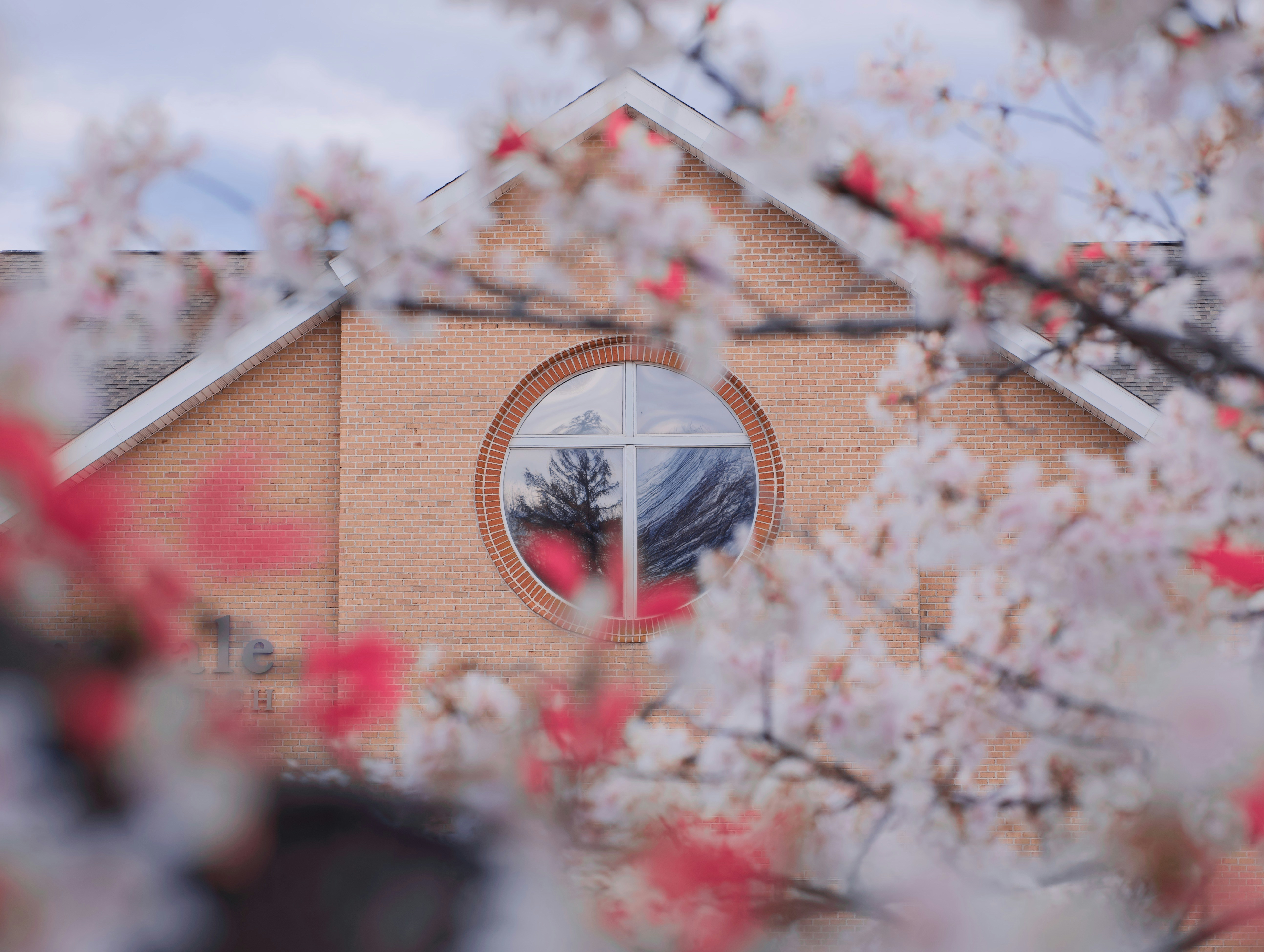 Circular Window Framed by Spring Bloom