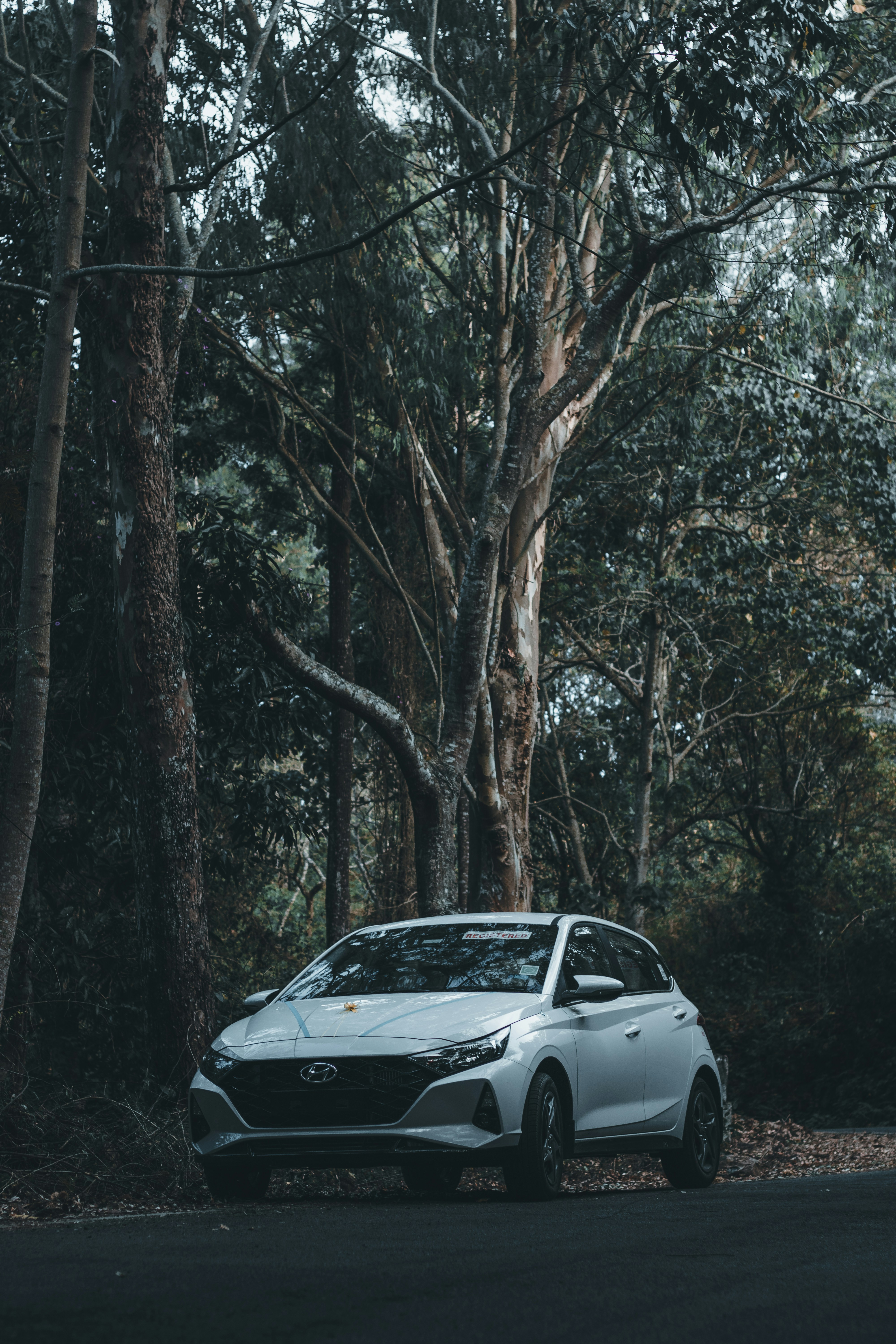 A sleek white car parked on a quiet road surrounded by tall trees and dense foliage, showcasing a blend of modern design and natural beauty.