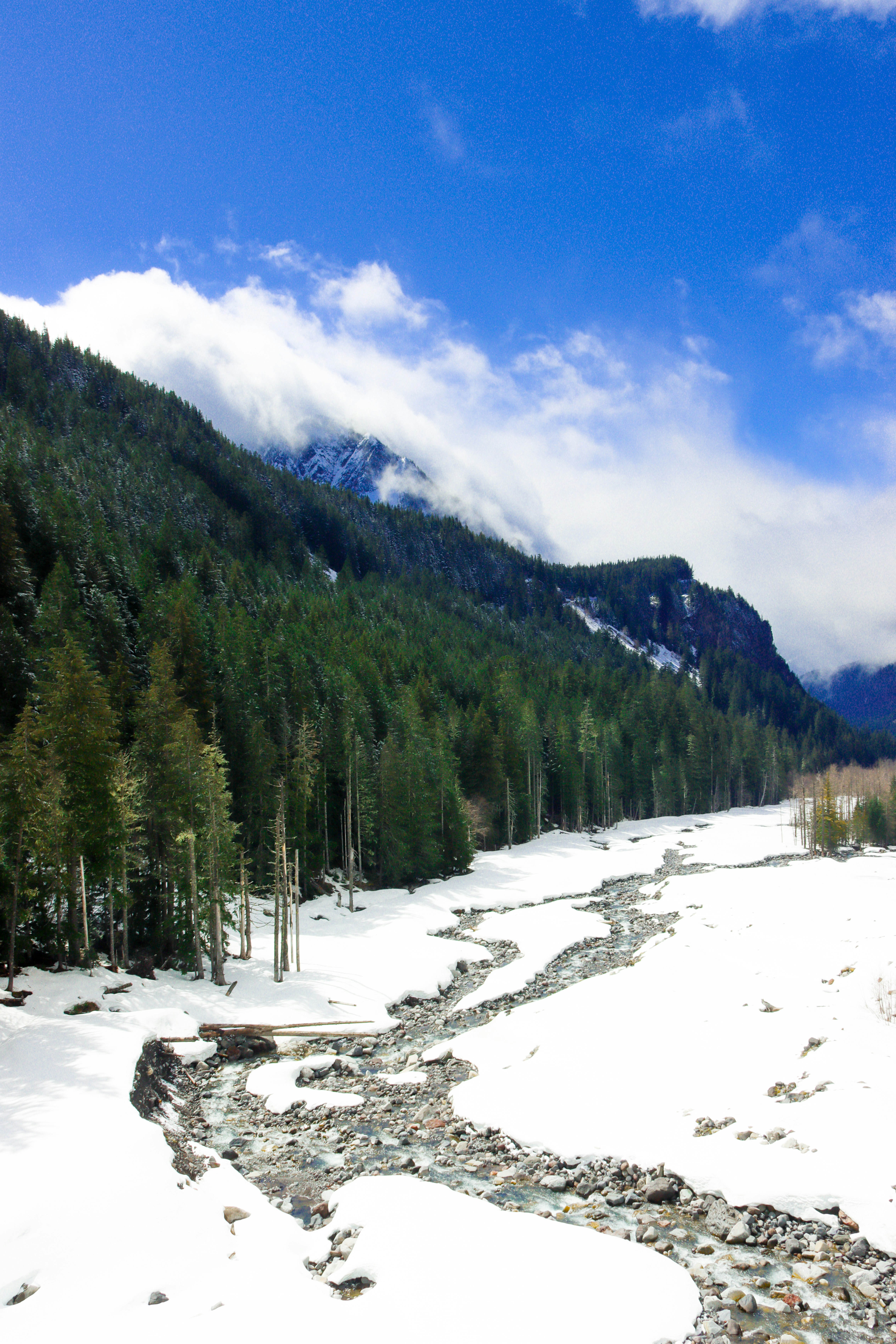 Snow covered valley