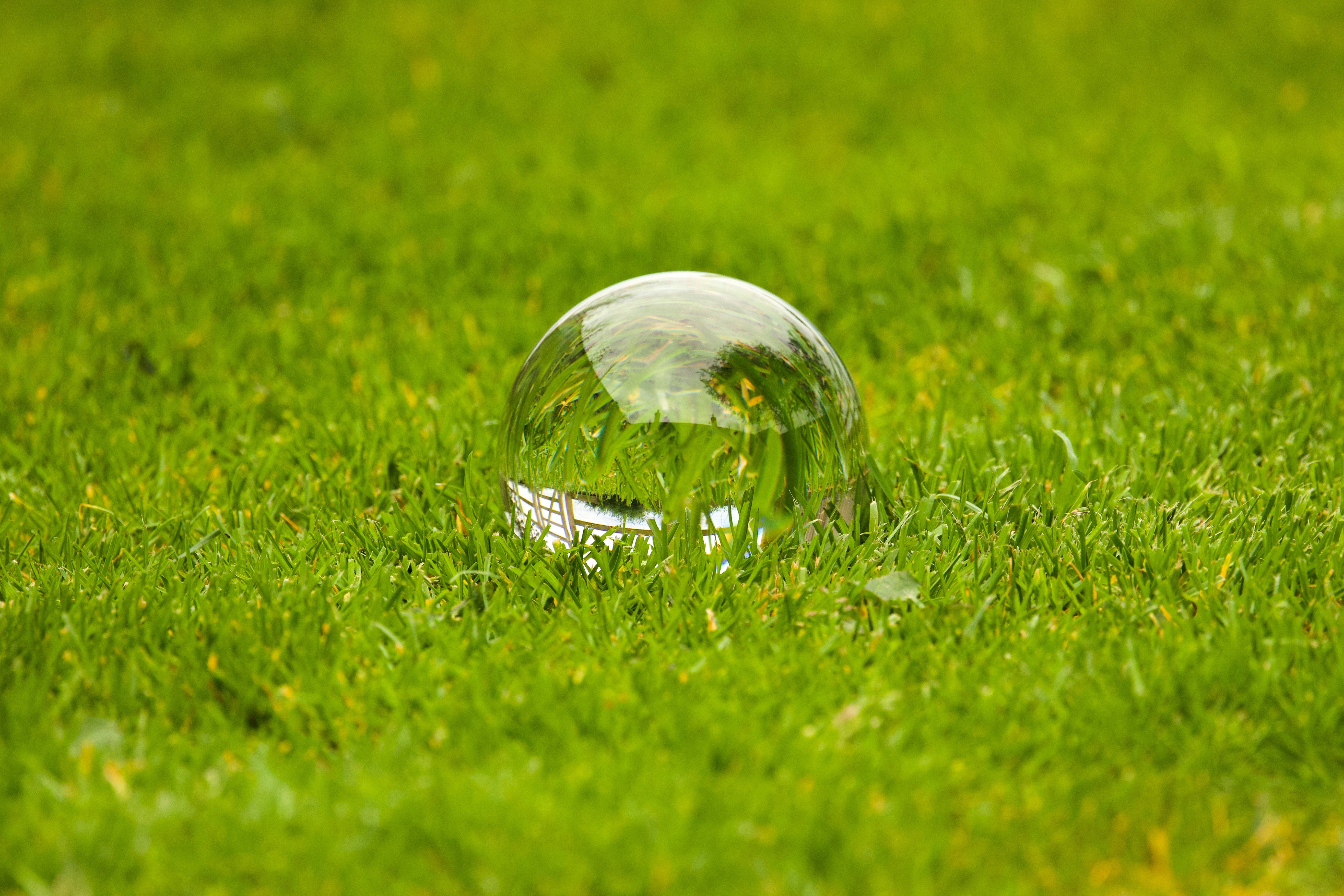 Fenced in Bubble