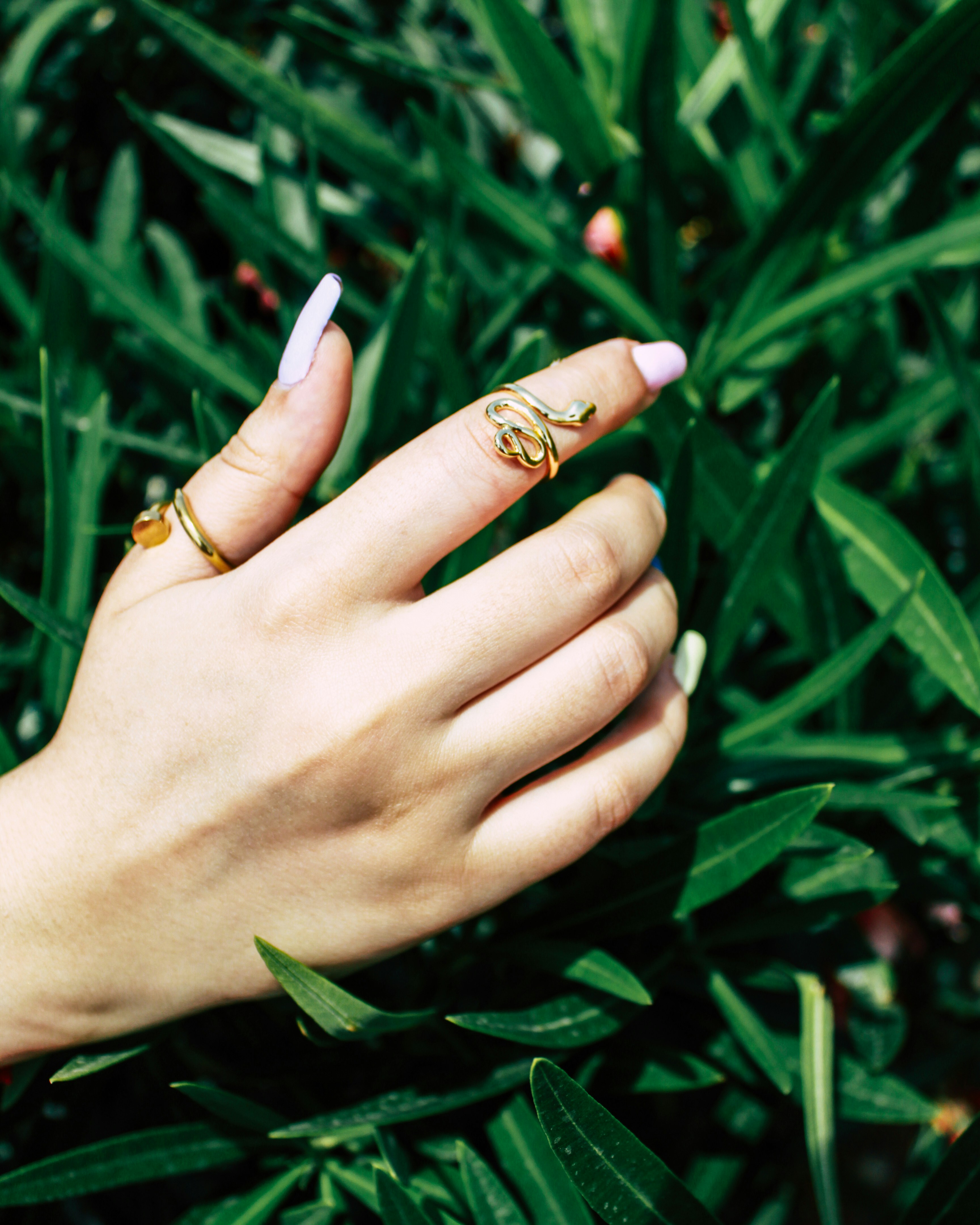 Verdant Verve: Golden Rings Rest on a Hand Amid Dense Foliage