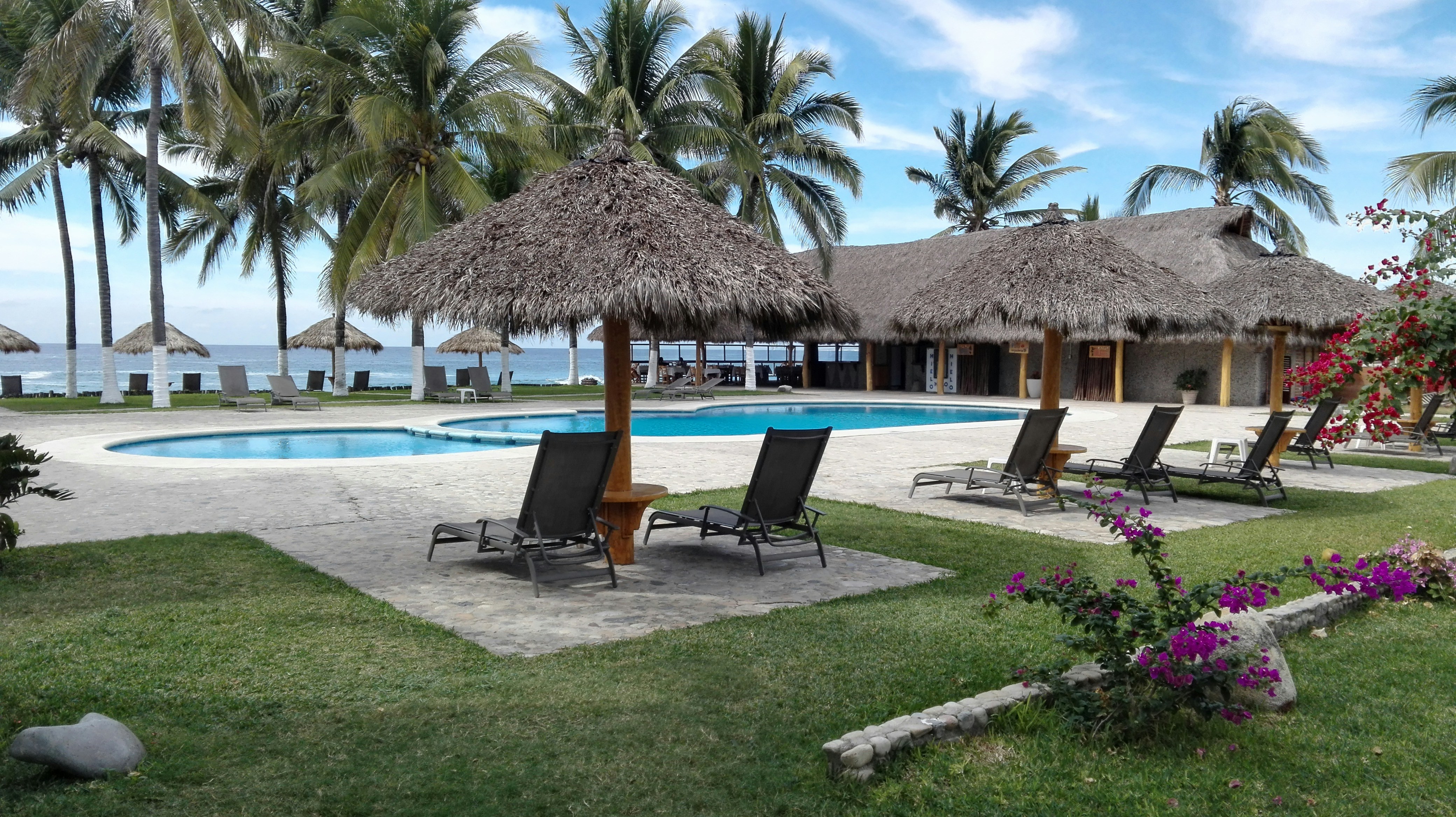 Palm trees and thatched umbrellas surround a serene pool near the oceanfront under a vibrant sky.