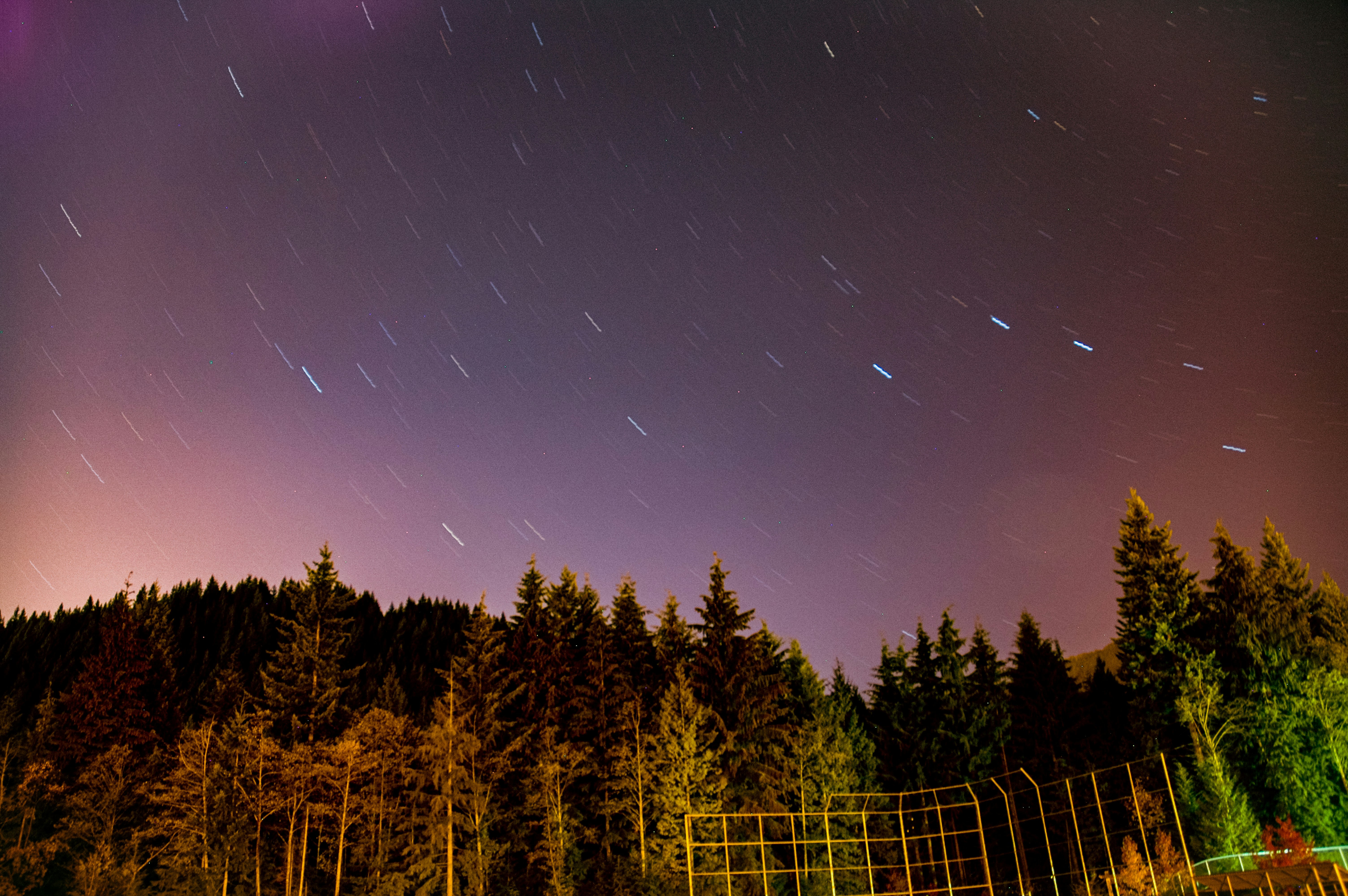 Celestial Trails Over Evergreen Silhouettes