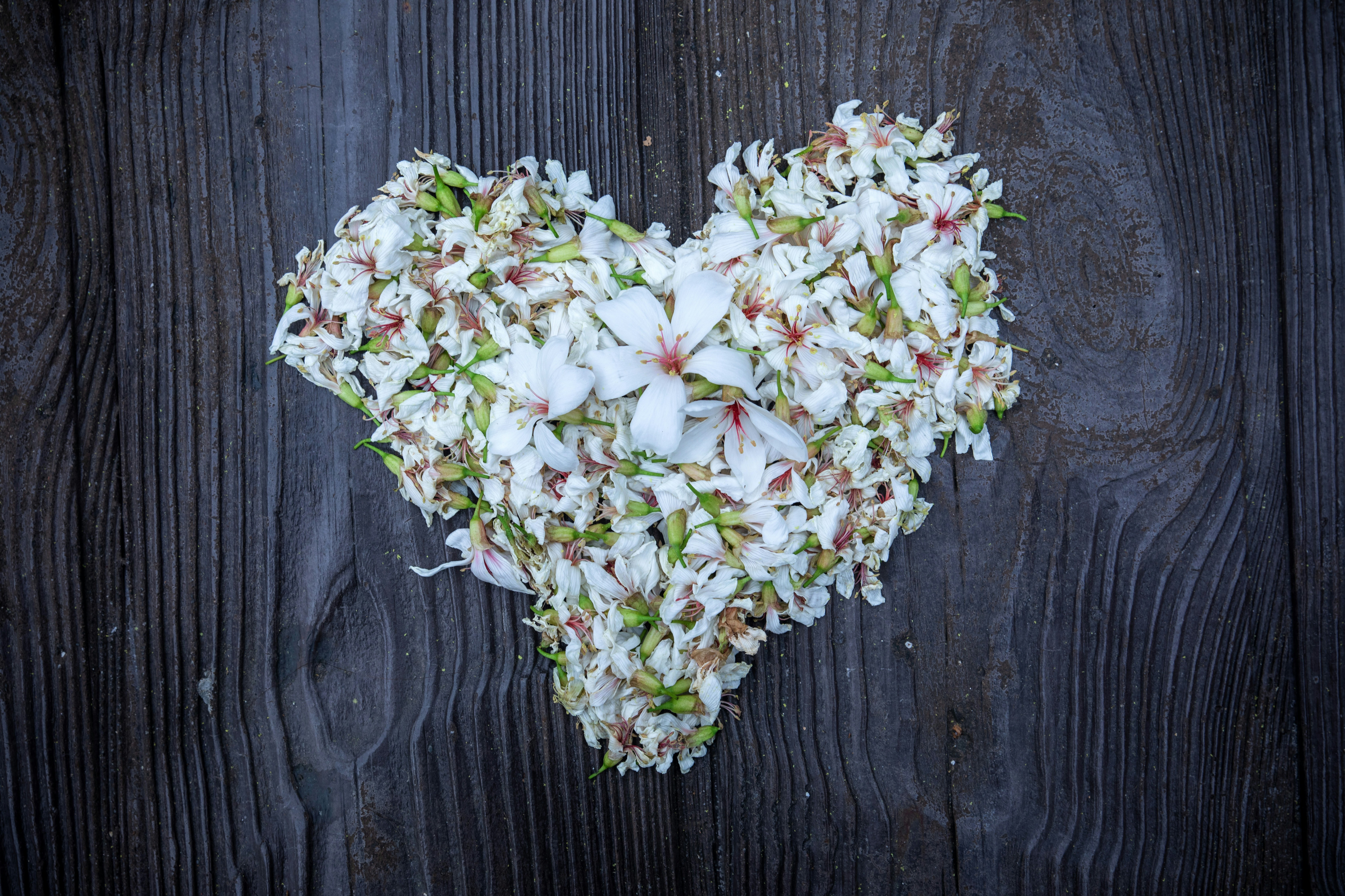 Heart of Petals: Frayed Wood Keepsake on a Dark Planked Surface