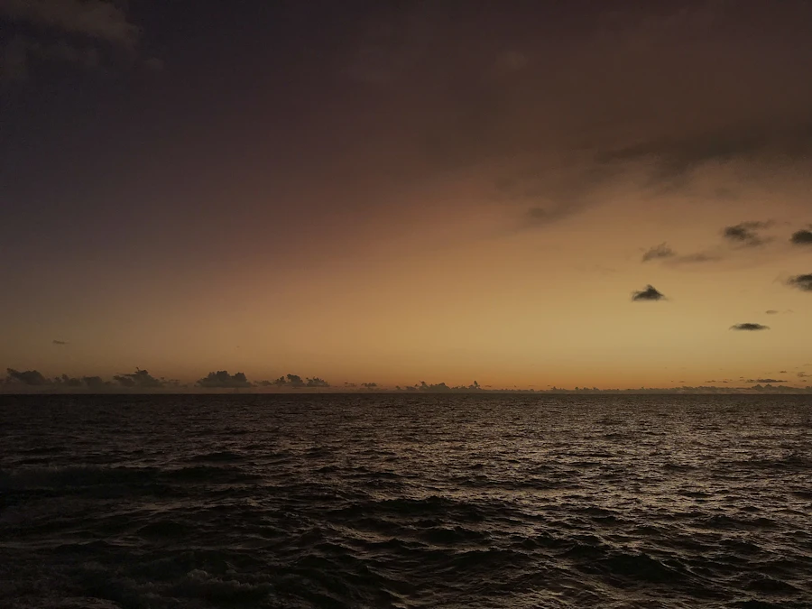 Dark ocean under a warm orange sunset sky with a thin line of clouds on the horizon. The water surface ripples in the foreground beneath a moody twilight gradient.