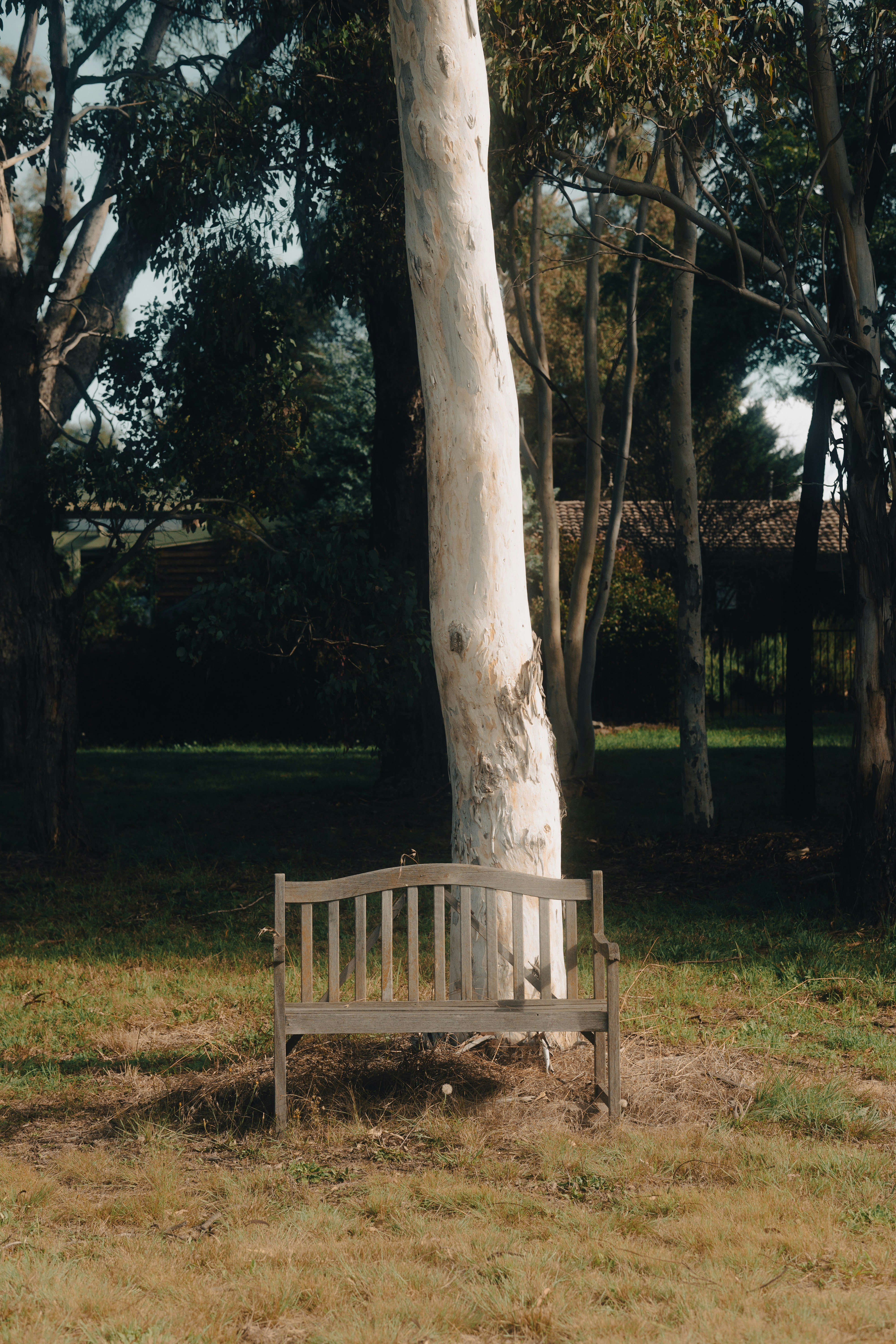 peculiar bench in suburban neighbourhood