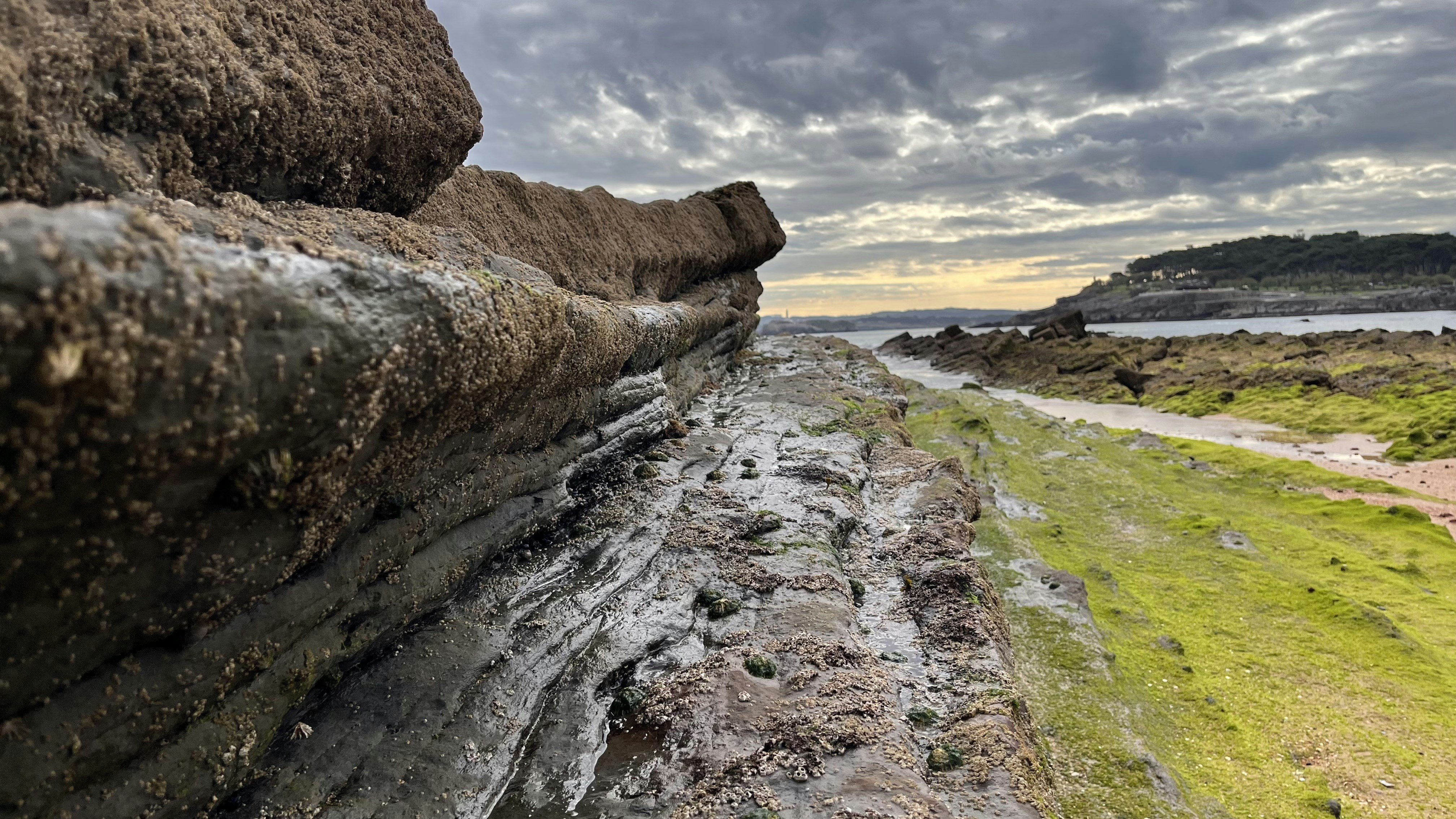 Limestone Ridge by the Tidal Edge