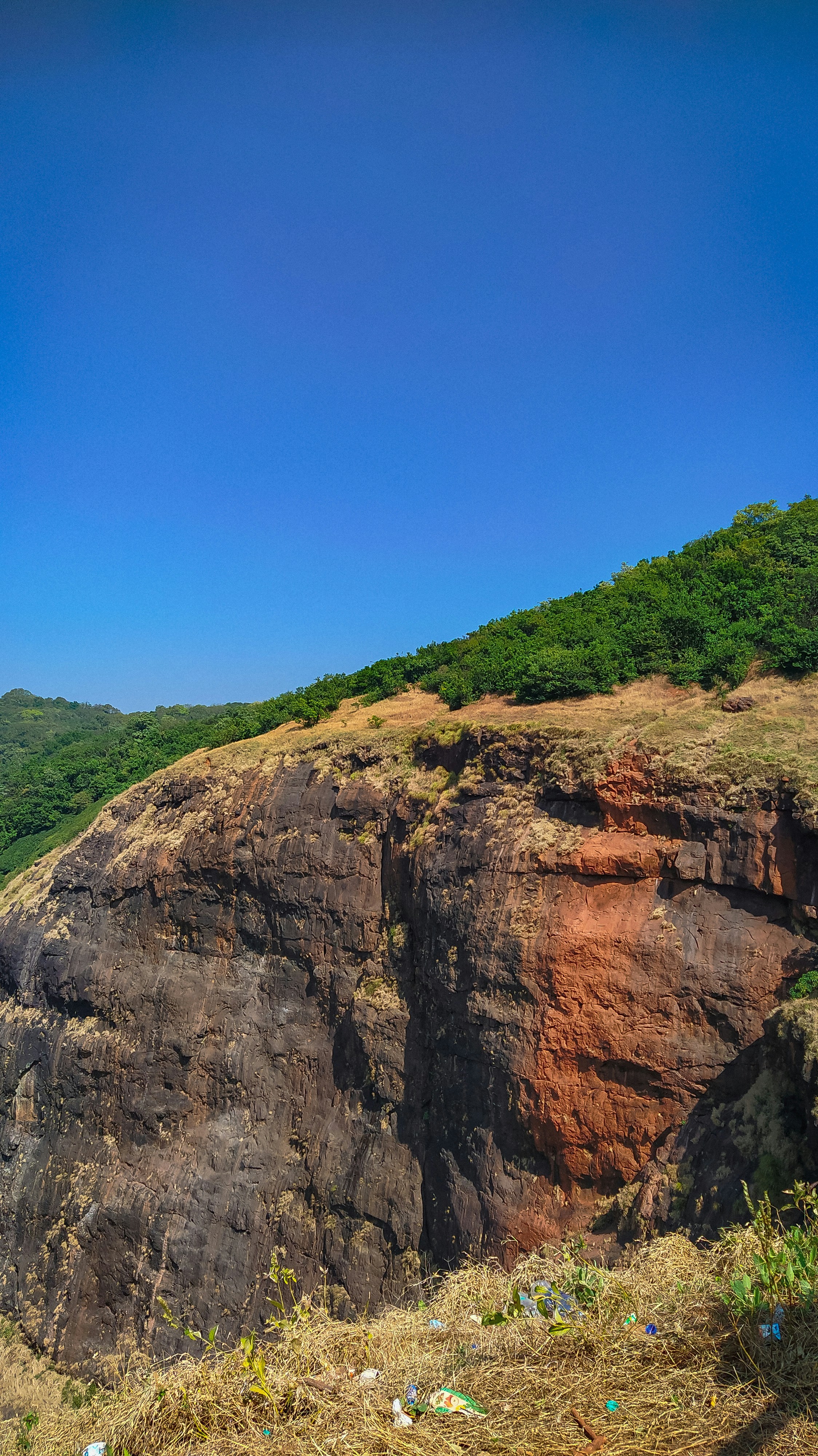 Vibrant cliffside showcasing a mix of earthy tones and lush greenery against a clear blue sky.