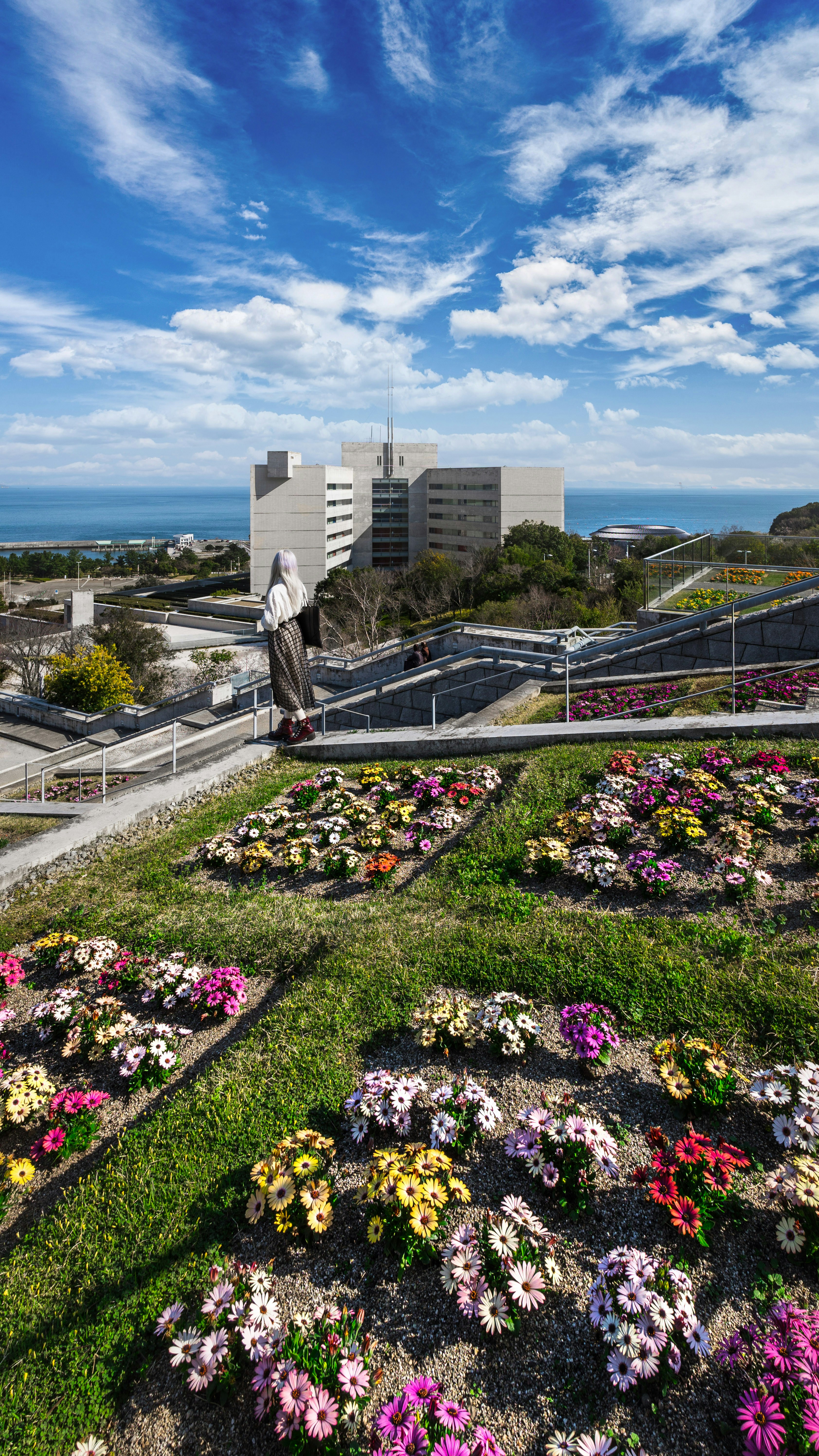 Terraced Bloomscape by the Sea: A Quiet Walk Toward the Horizon