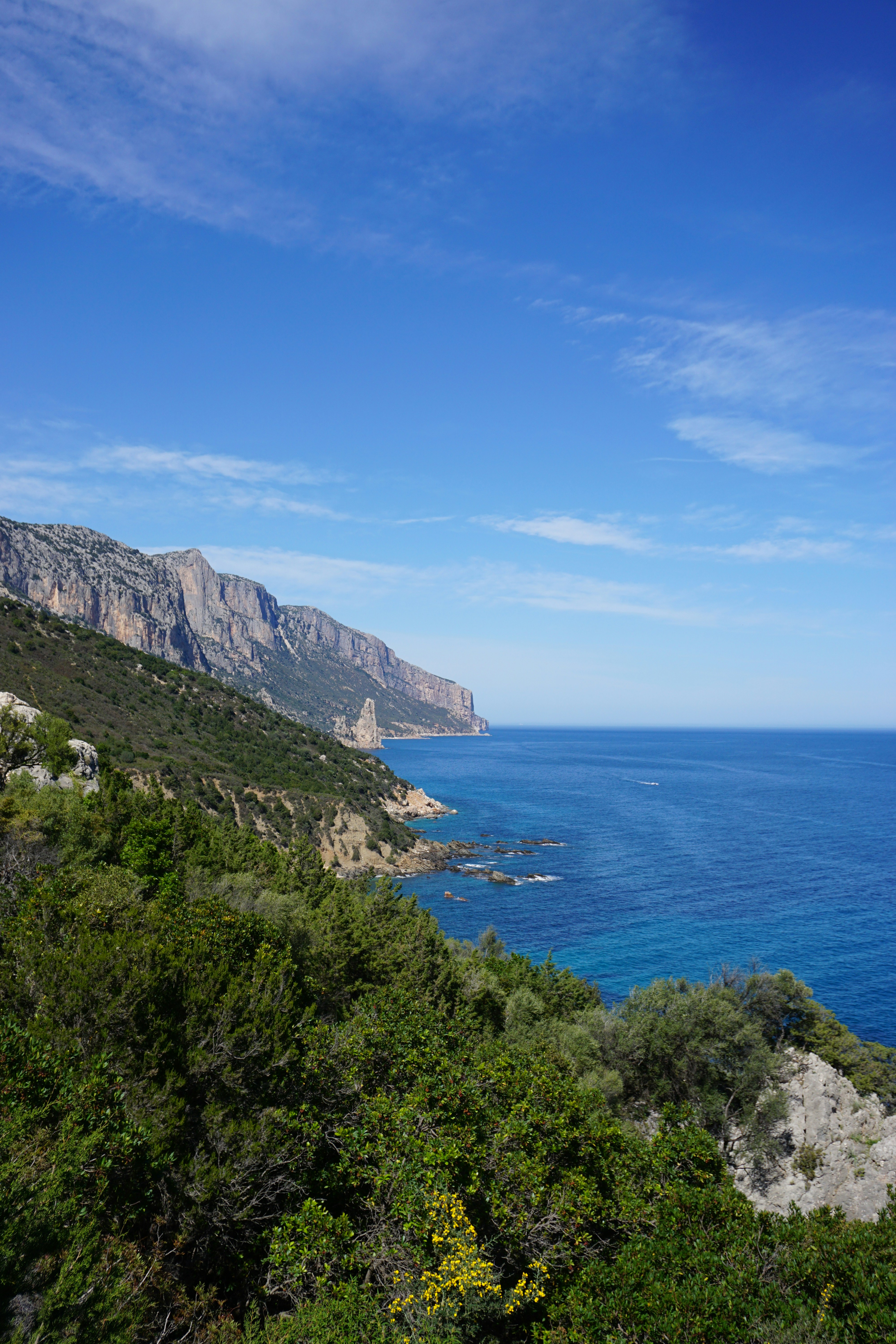 Cliffside Vista: Verdant Slopes Frame the Azure Coast