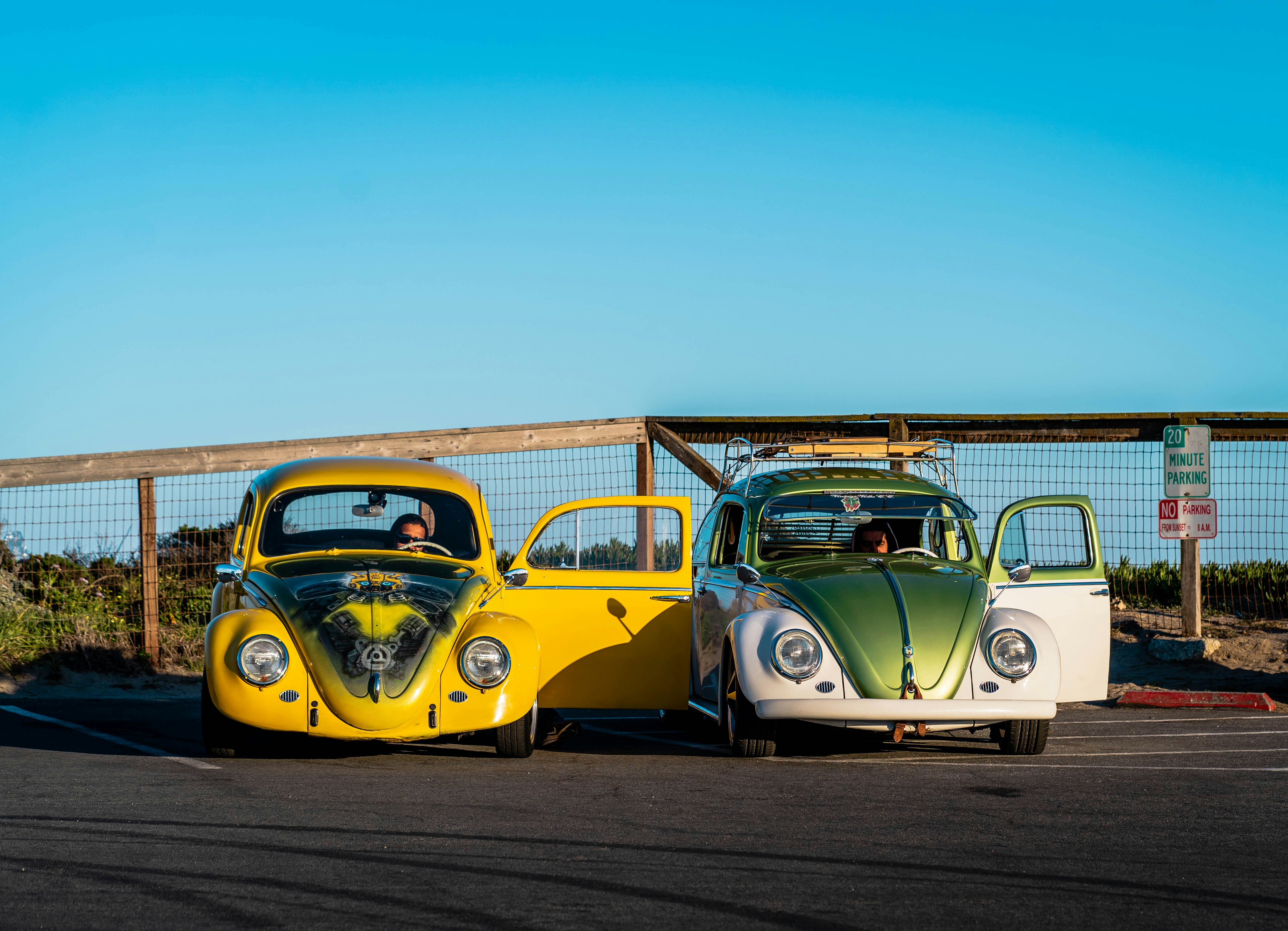 Two Colorful Beetles in a Sunset Lot