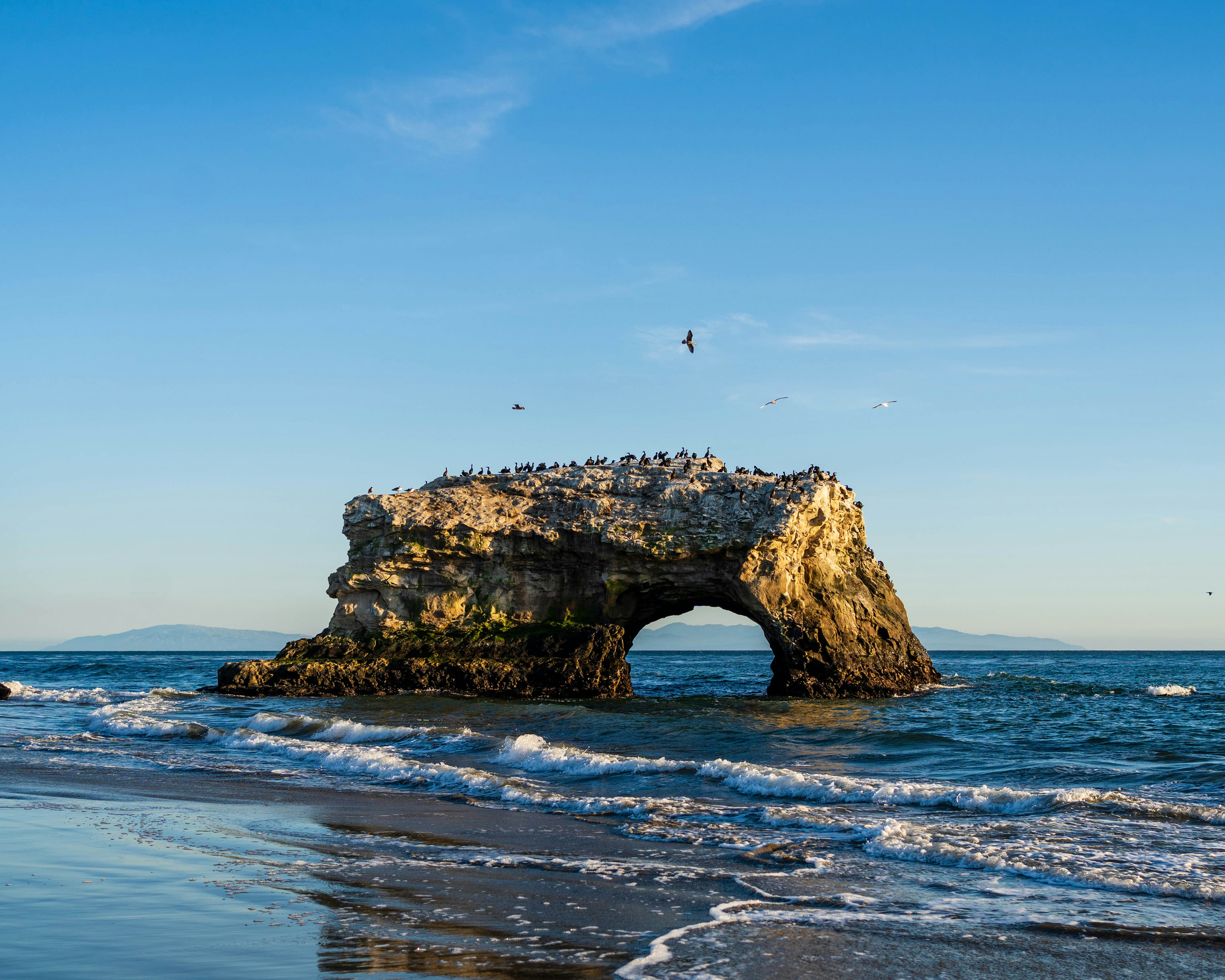 A rock formation in the ocean with birds perched on top of it photo ...